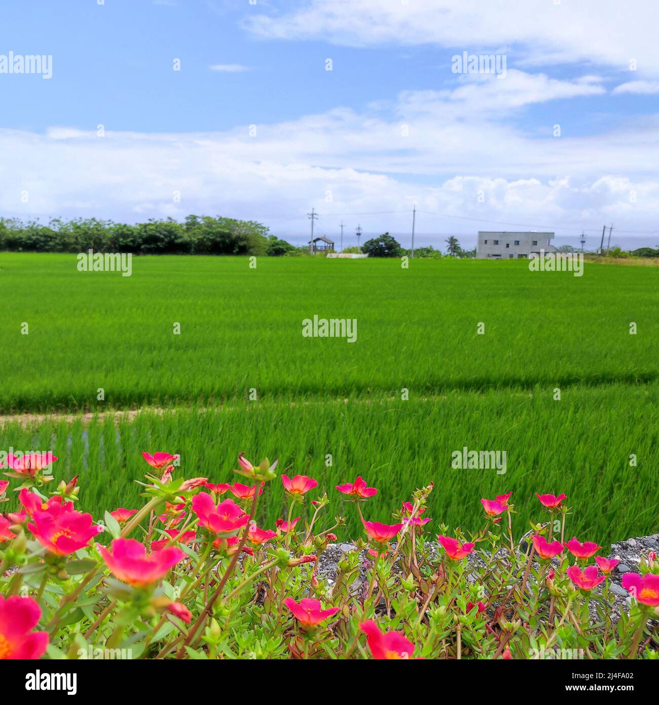 The Dulan Sea Viewing Platform, Taitung, enjoy the beautiful coastline ...