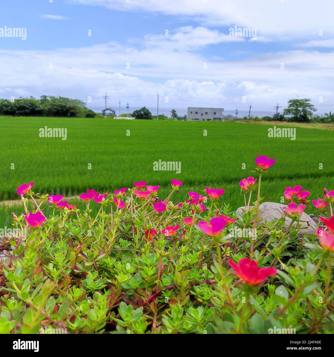 The Dulan Sea Viewing Platform, Taitung, enjoy the beautiful coastline ...