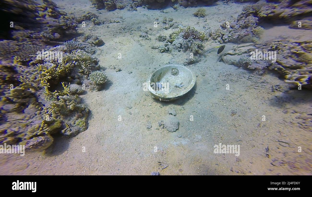 Cargo from the wreck of the Yolanda at the tip of the Sinai Peninsula ...