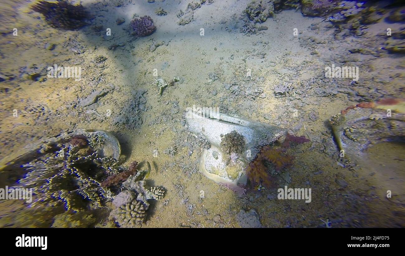 Cargo from the wreck of the Yolanda at the tip of the Sinai Peninsula ...