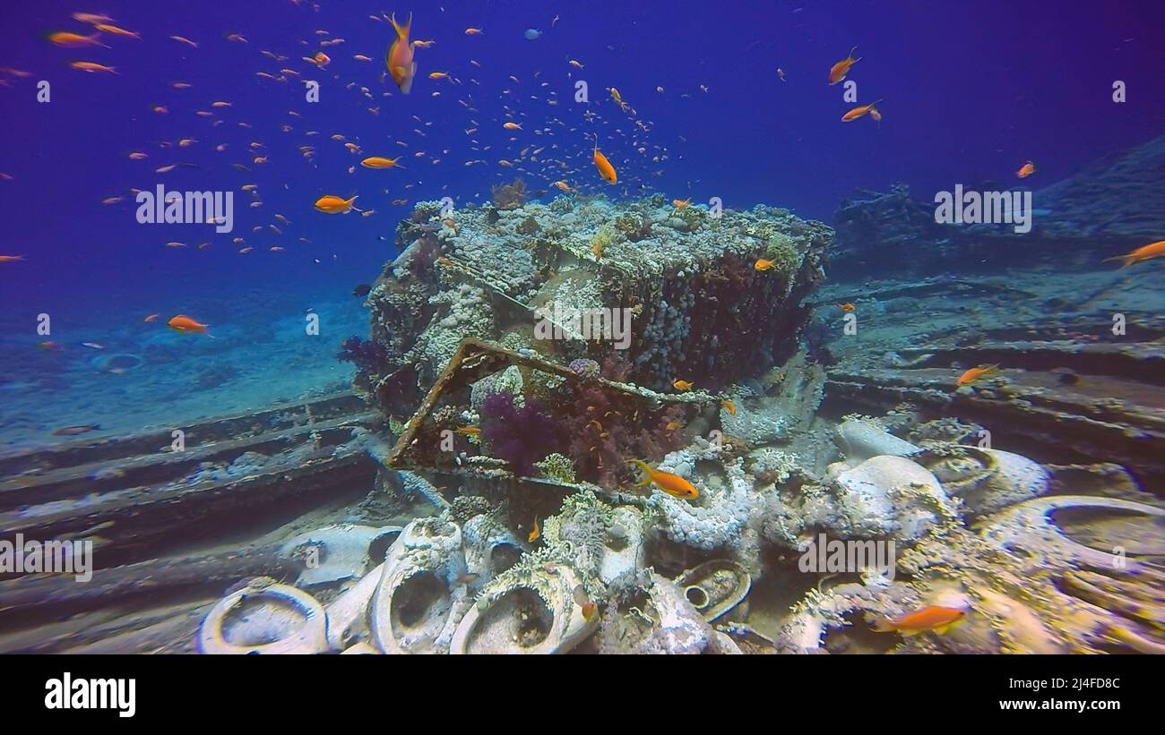 Cargo from the wreck of the Yolanda at the tip of the Sinai Peninsula ...