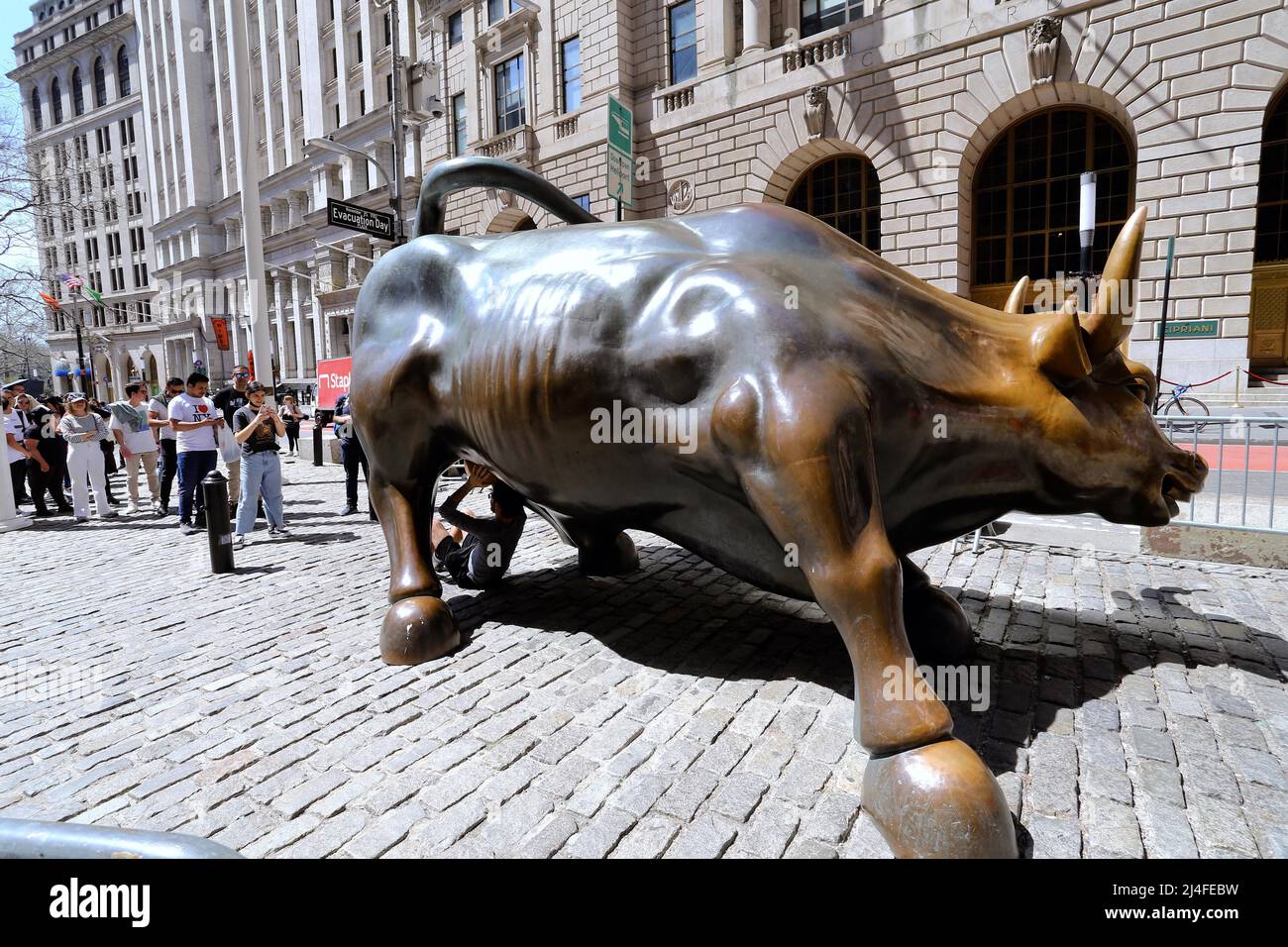Famous Charging Bull by artist Arturo Di Modica on Broadway in New York ...