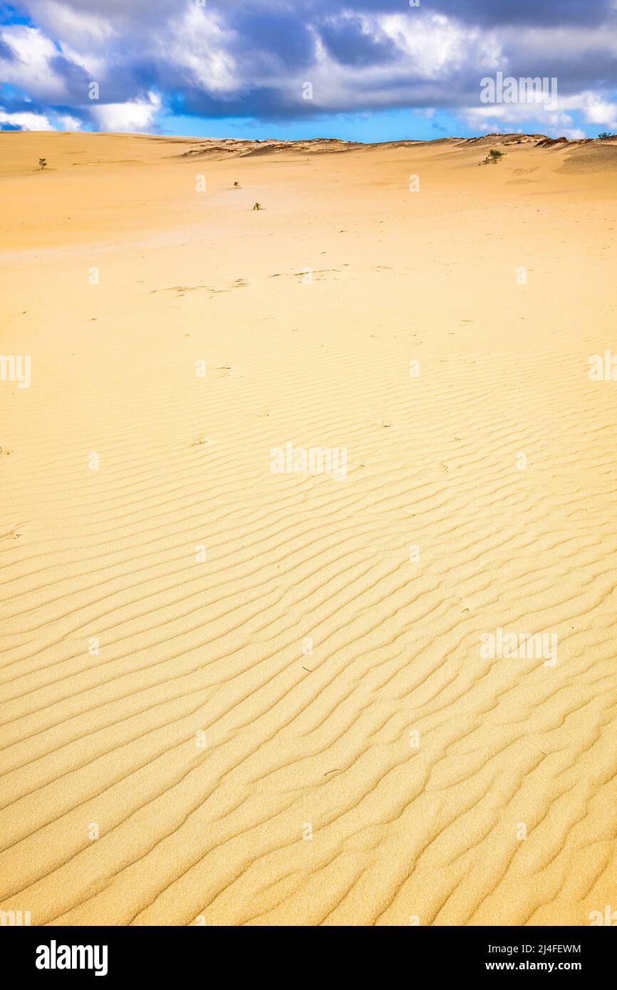 Sand forms into ripples at Wungul Sandblow, Fraser Island, Queensland ...