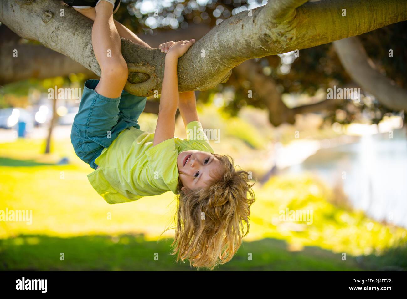 Child on a tree branch. Child climbing in adventure activity park ...