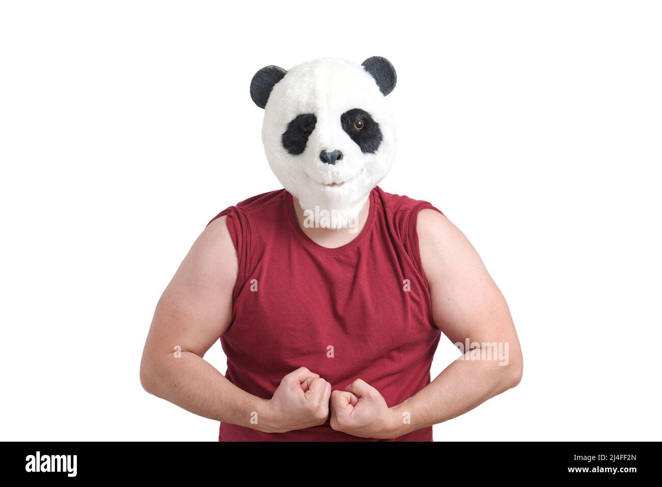 Panda bear disguise costume hi-res stock photography and images - Alamy