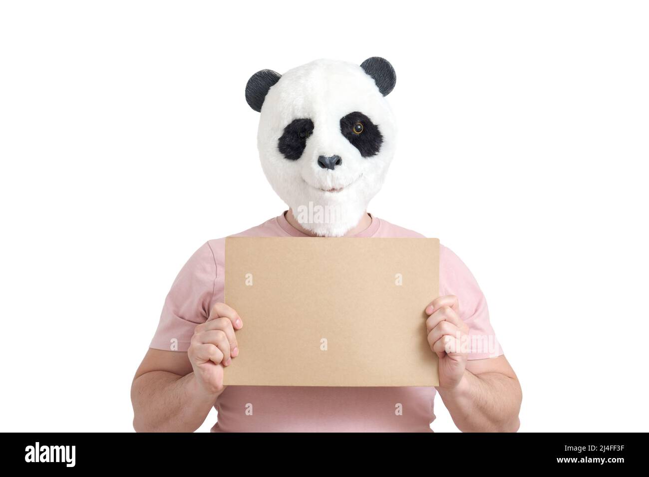 Man wearing a panda mask head holding white empty banner, isolated ...
