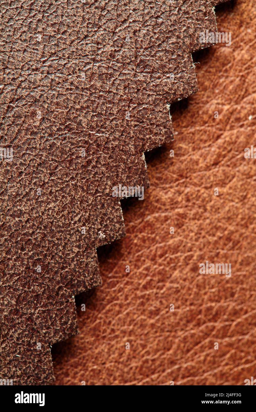 Sample of leather textile brown colors, background. Catalog and swatch ...