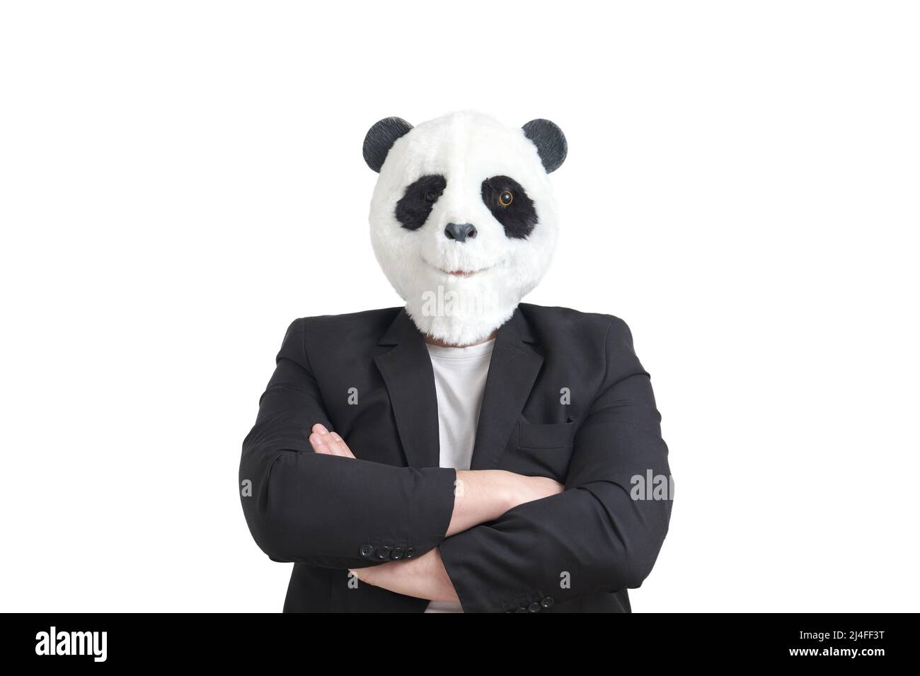 Man wearing a panda mask head and a suit, arms folded, isolated Stock ...