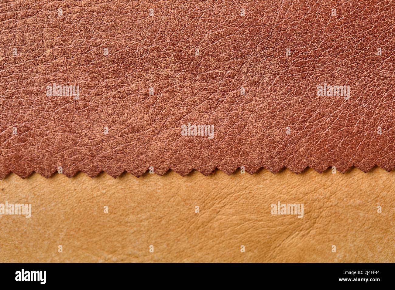 Sample of leather textile brown colors, background. Catalog and swatch ...