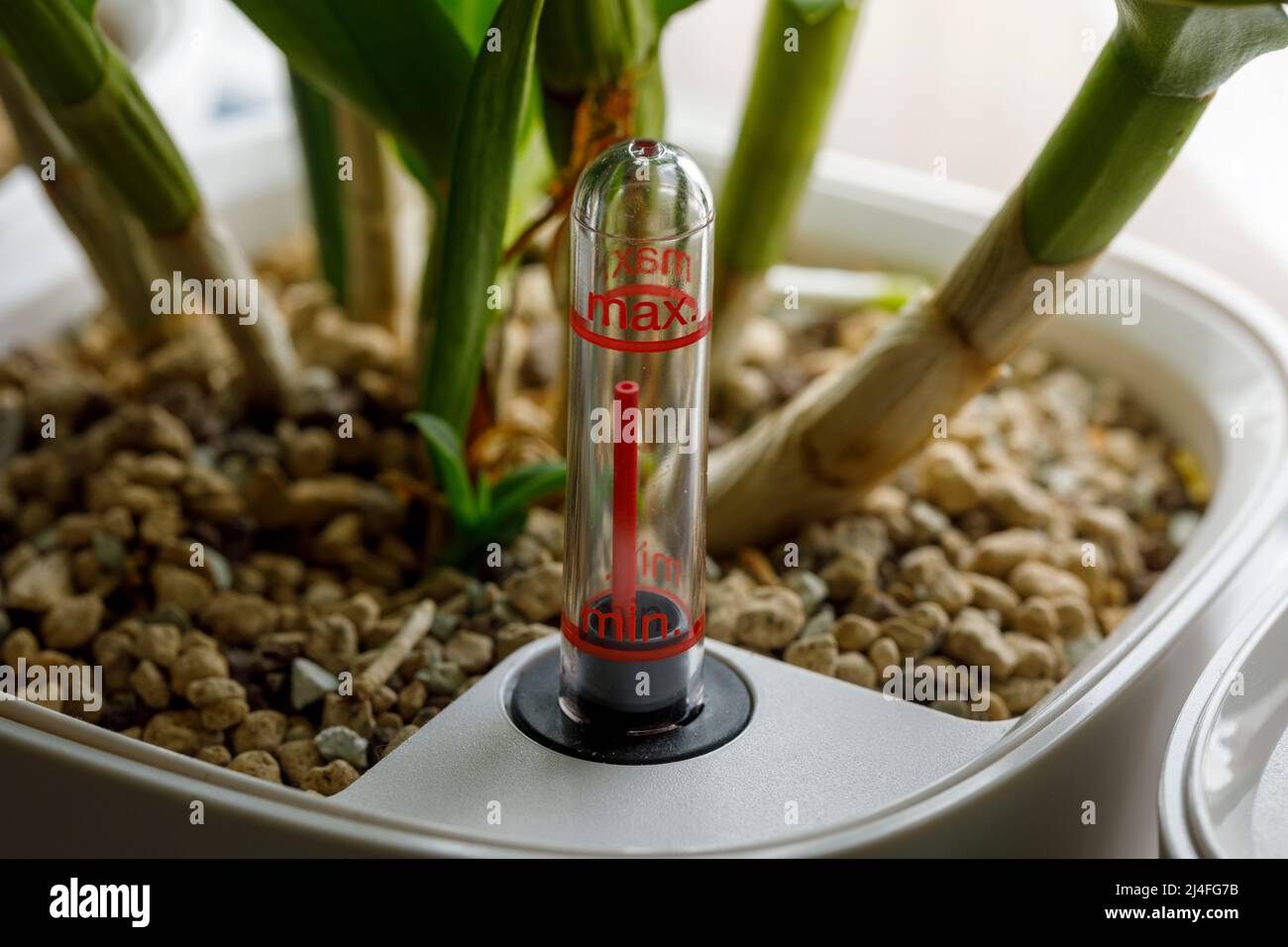 Flower pot water level indicator hi-res stock photography and images ...