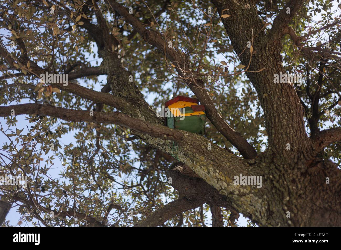 Sightseeing Numana - Riviera del Conero - Marche Italy Stock Photo - Alamy