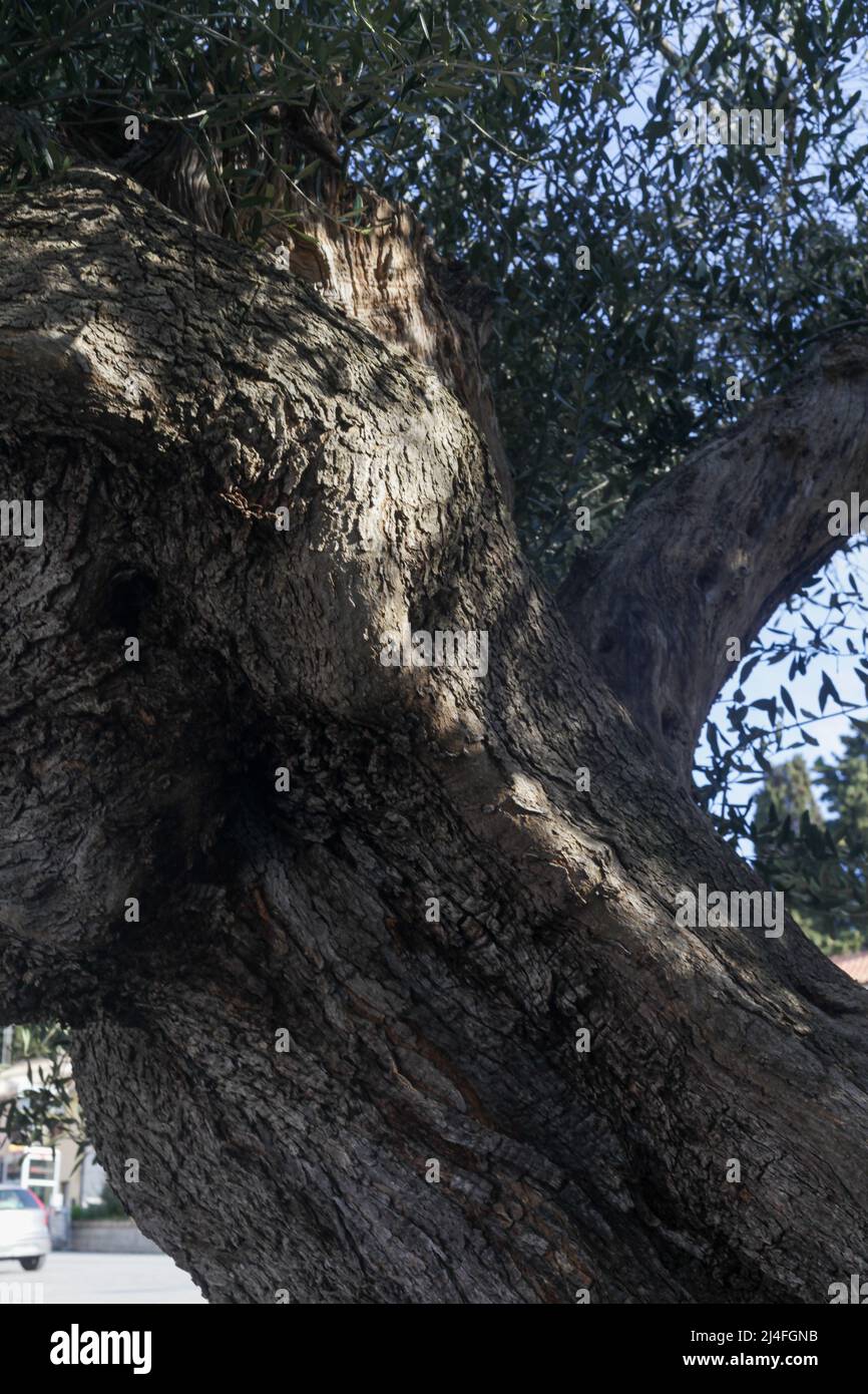 Sightseeing Numana - Riviera del Conero - Marche Italy Stock Photo - Alamy