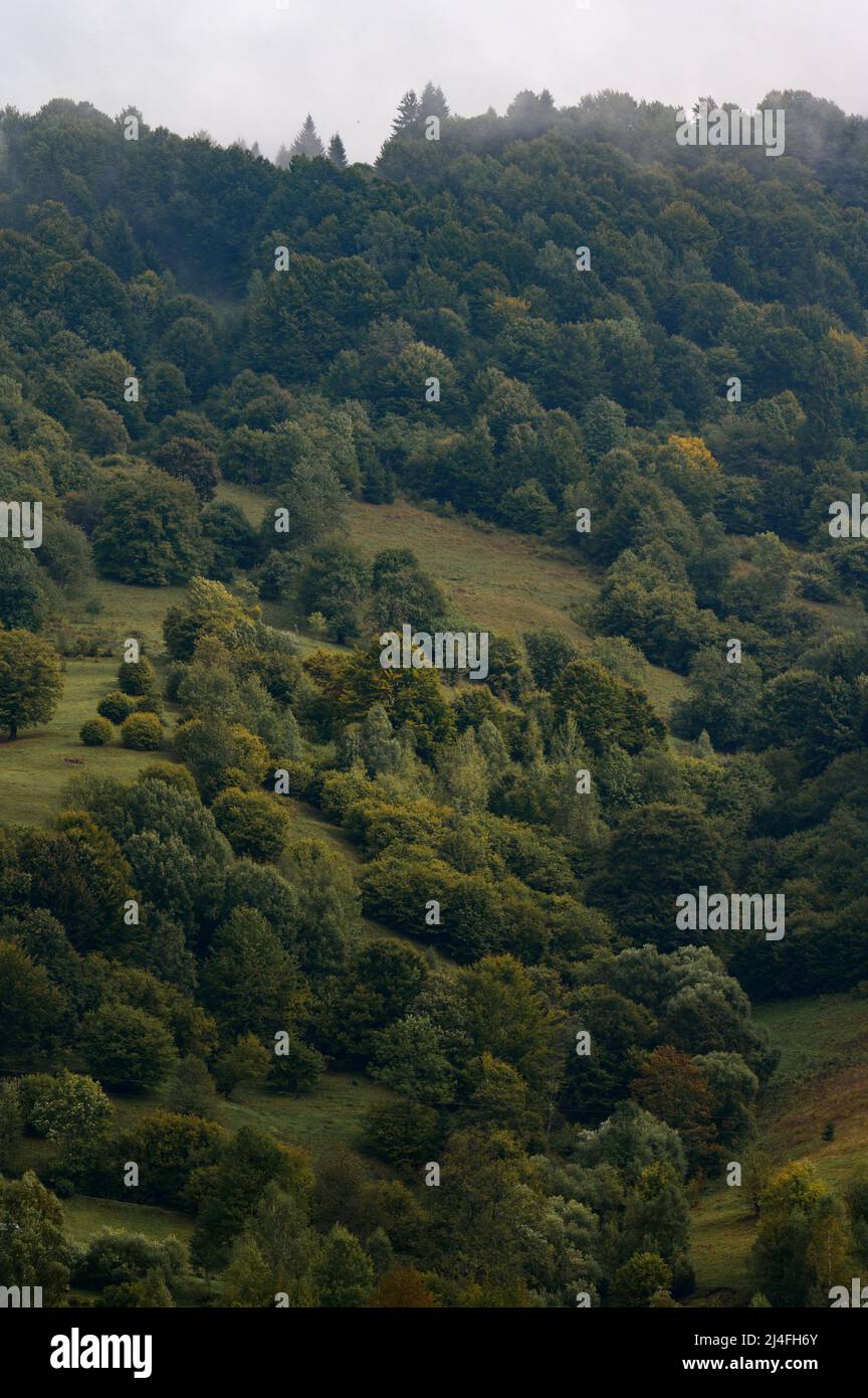 Landscapes of the Ukrainian Carpathians, a trip to the mountain ranges ...