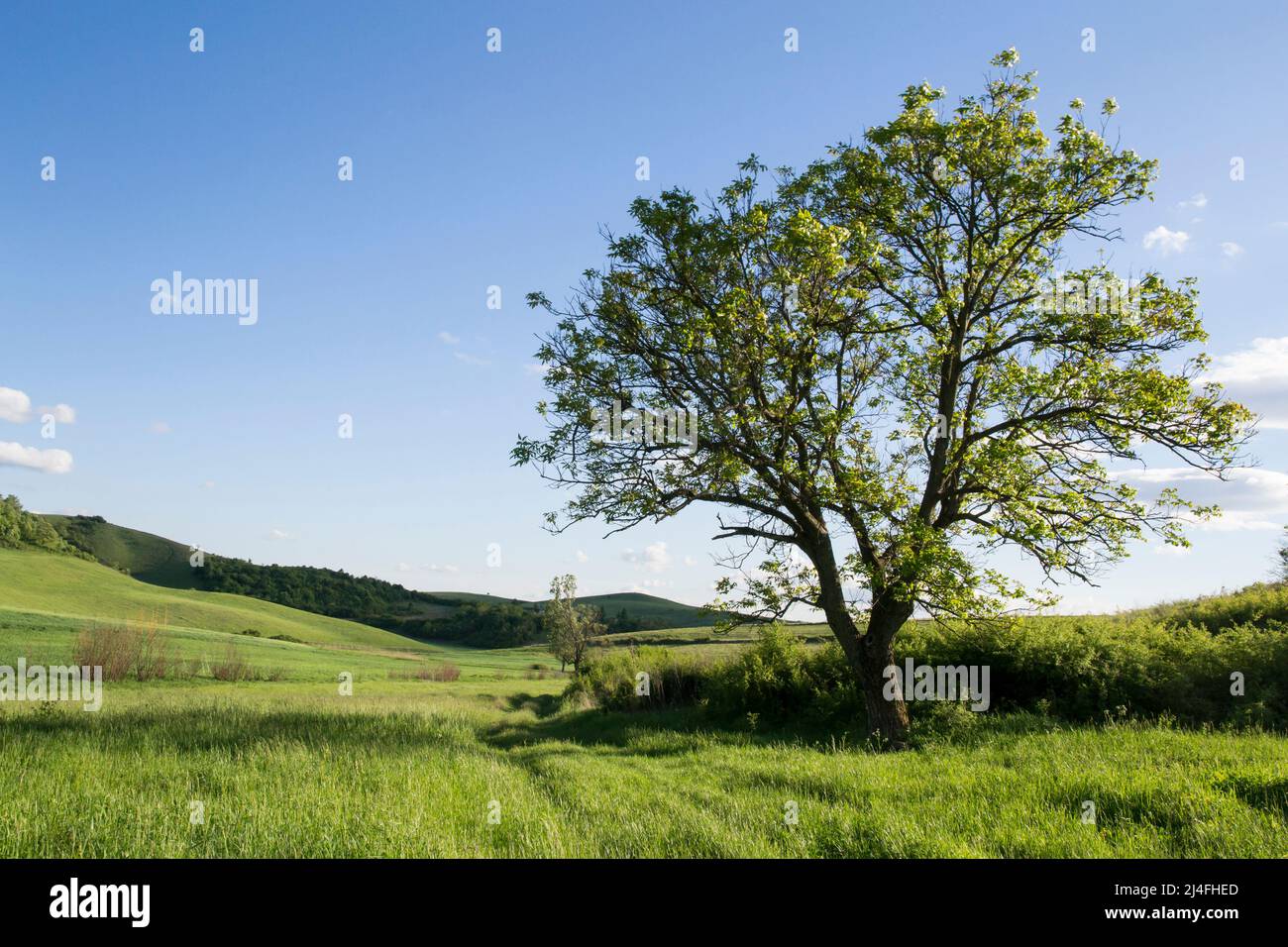 Farmland environment and scenic horizon hi-res stock photography and ...