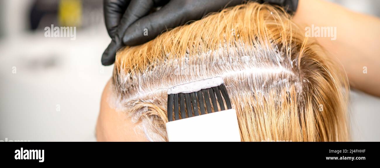 Hair colour application salon hi-res stock photography and images - Alamy