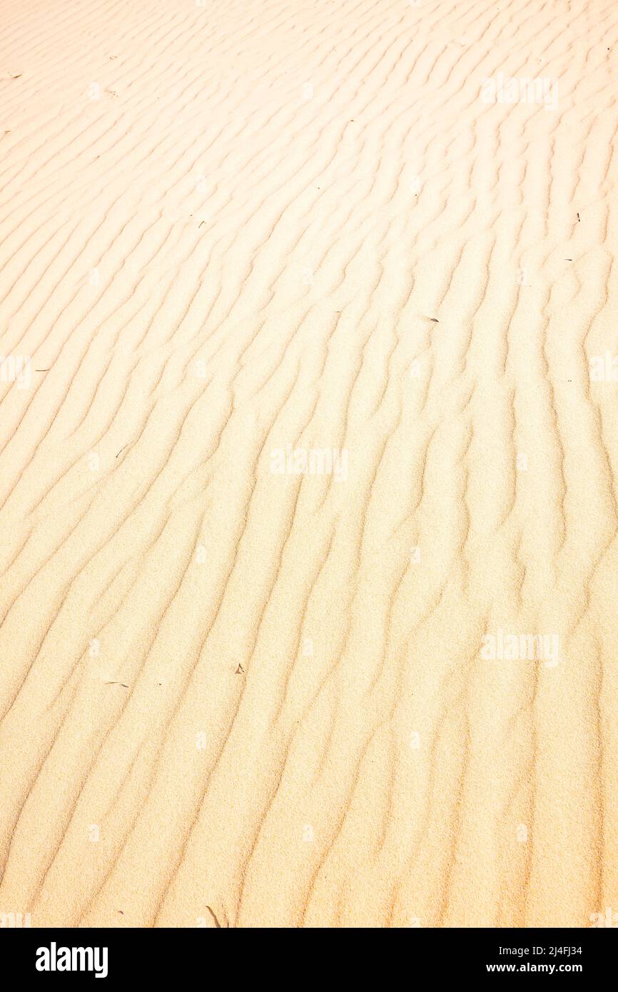 Sand forms into ripples at Wungul Sandblow, Fraser Island, Queensland ...