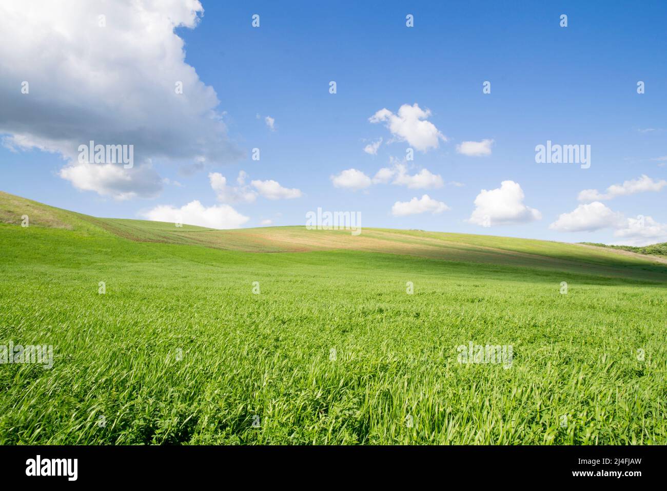 Summer agriculture environment hi-res stock photography and images - Alamy