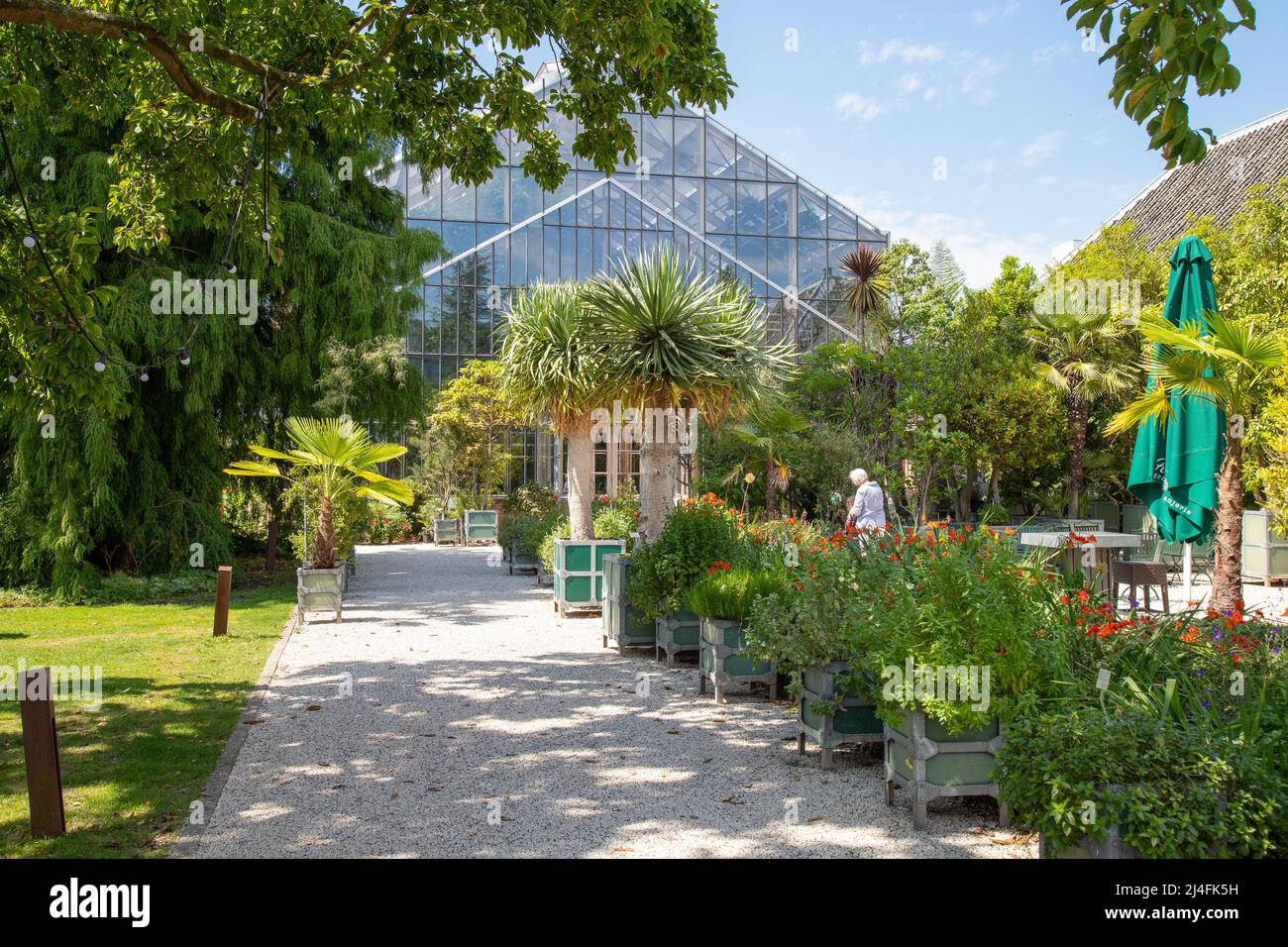 Greenhouse of the Hortus botanicus in Leiden Stock Photo - Alamy
