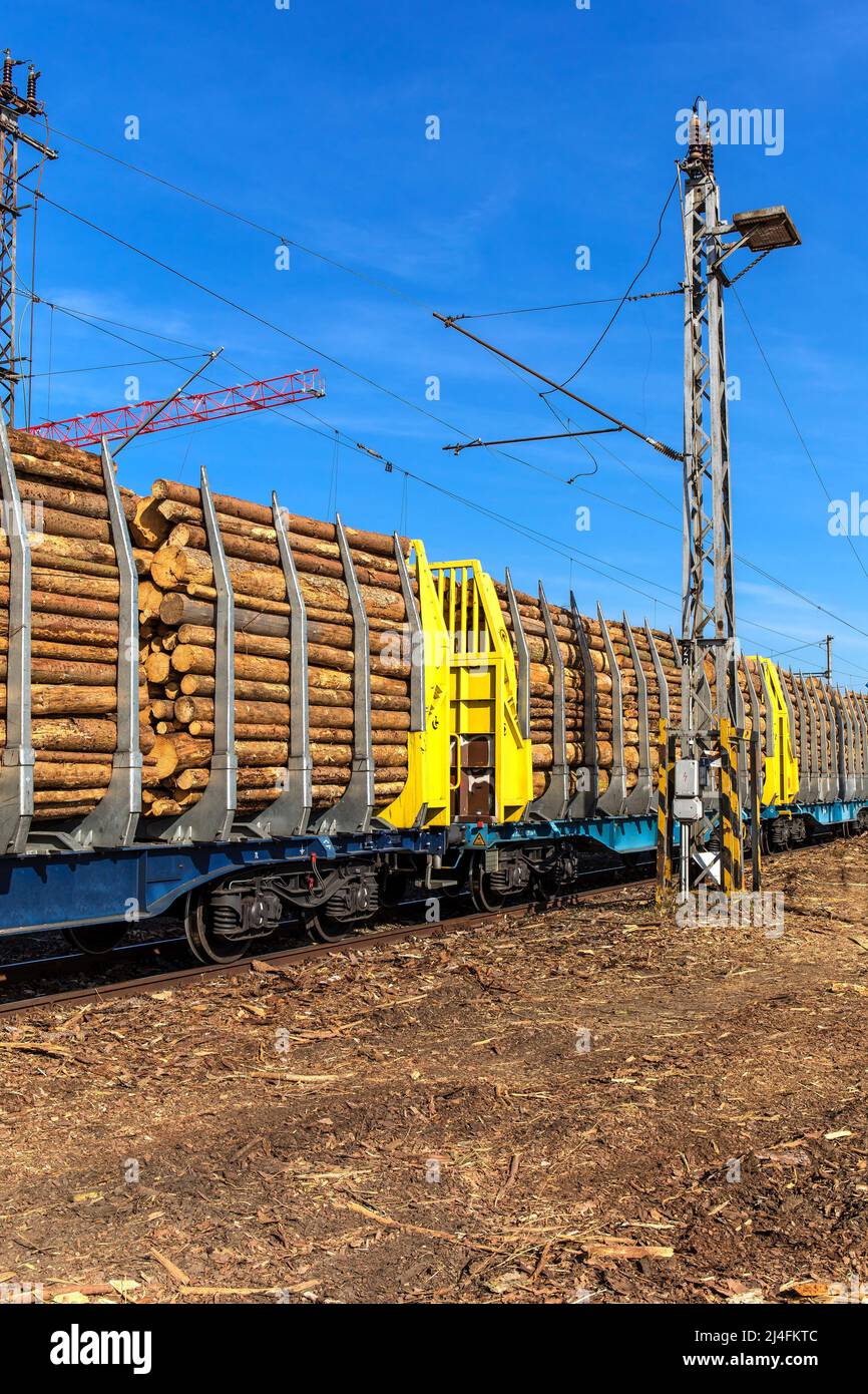 Wagons laden with wood in Czech Republic. Timber trading.Freight wagons ...