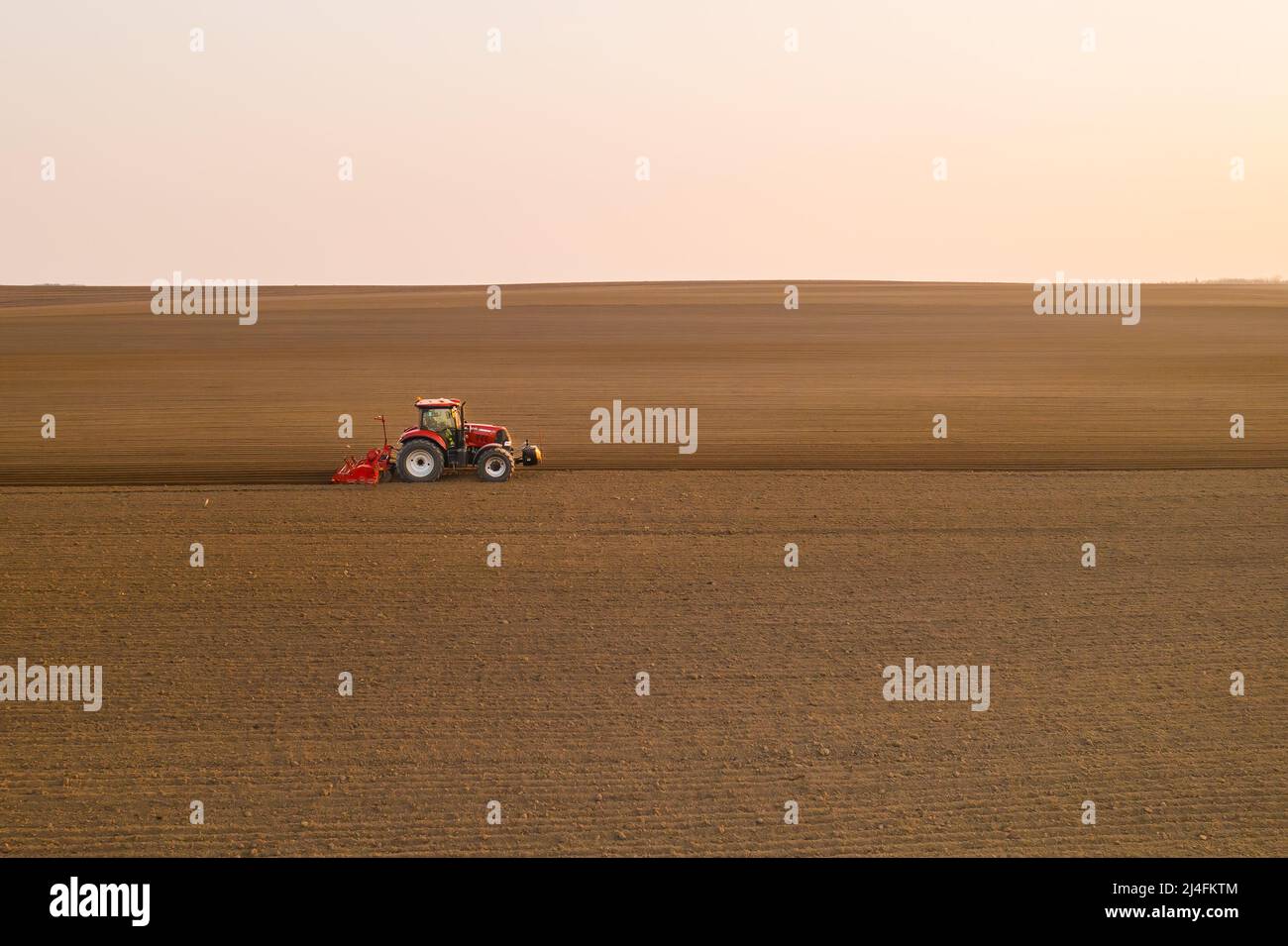 Tractor pulls subsoiler to prepare beds for sowing grain in cultivated ...
