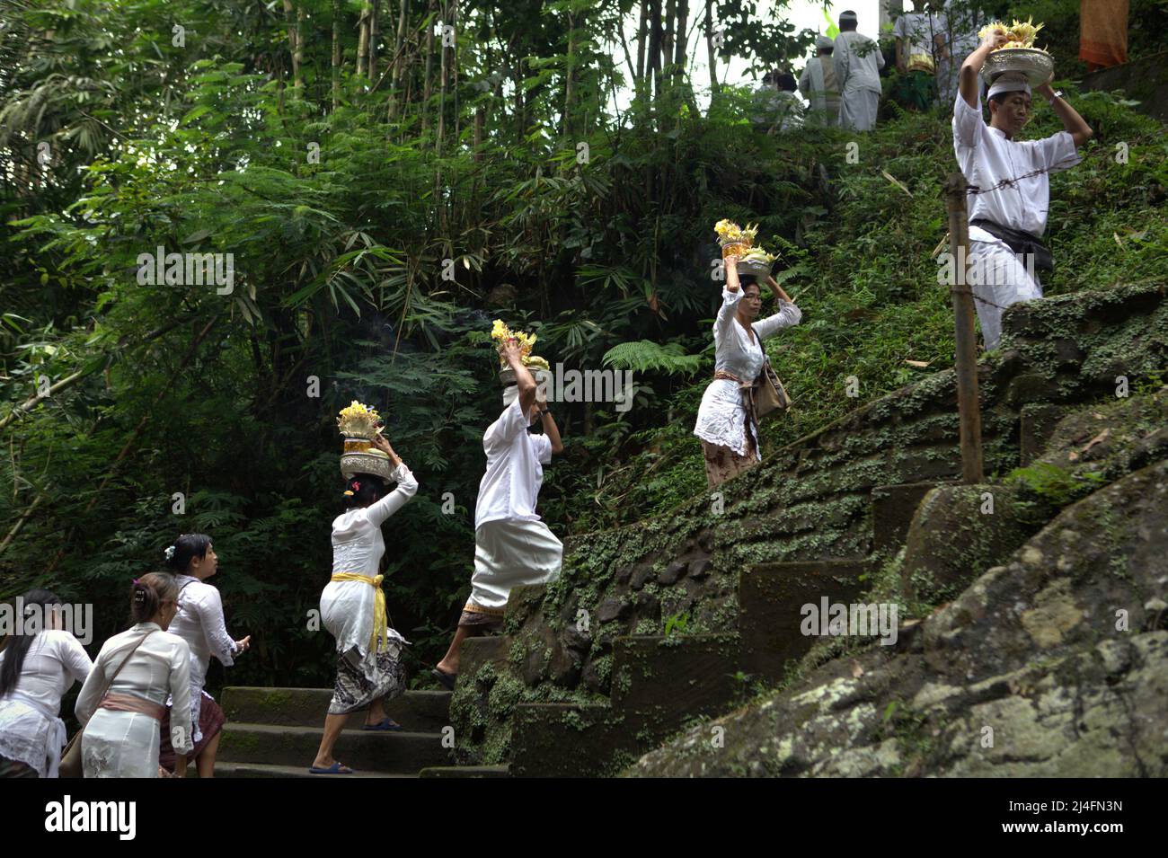 Purifying the spirits: Members of a Balinese family march during a ...