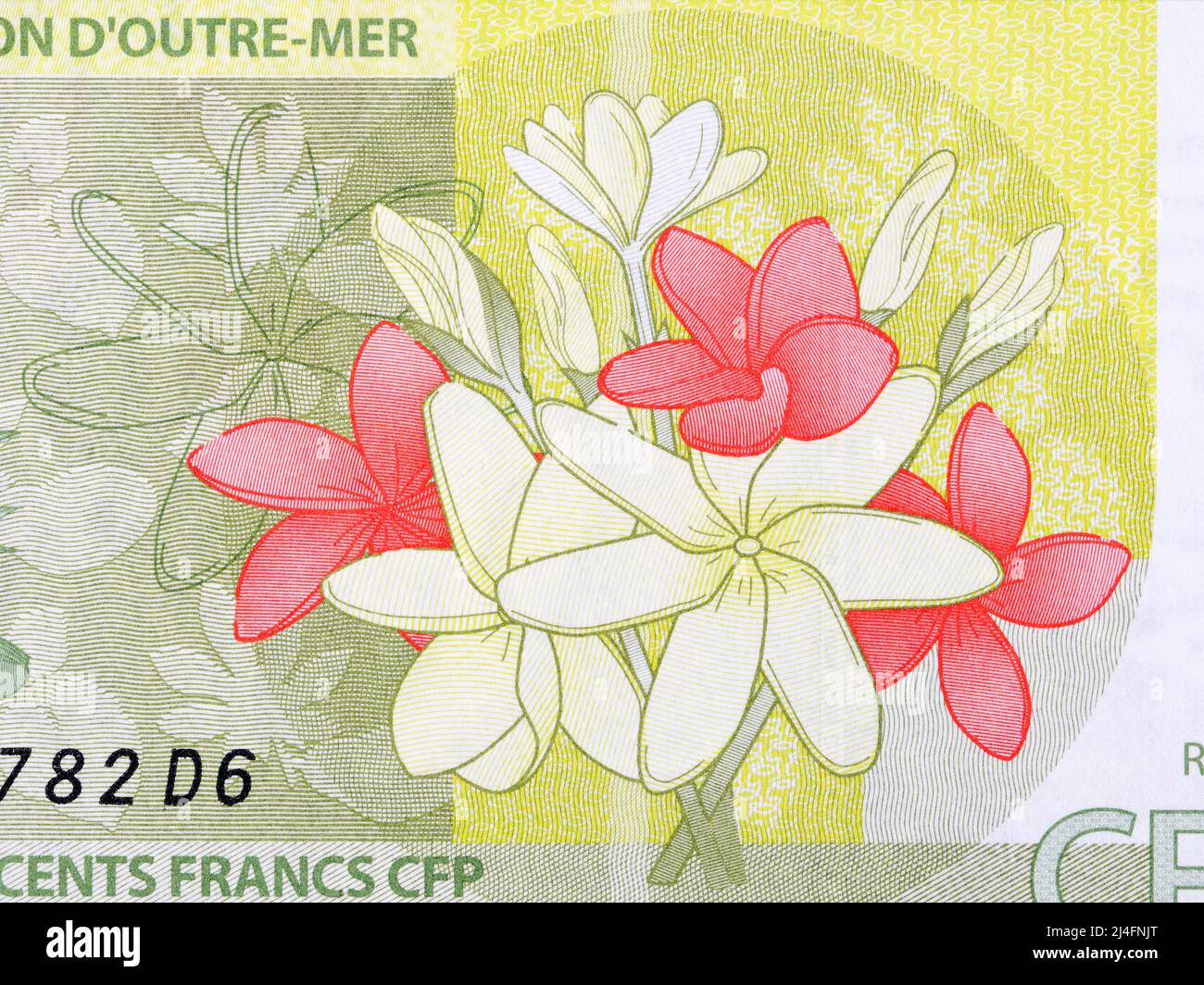 Flowers from French Pacific Territories money - Francs Stock Photo - Alamy