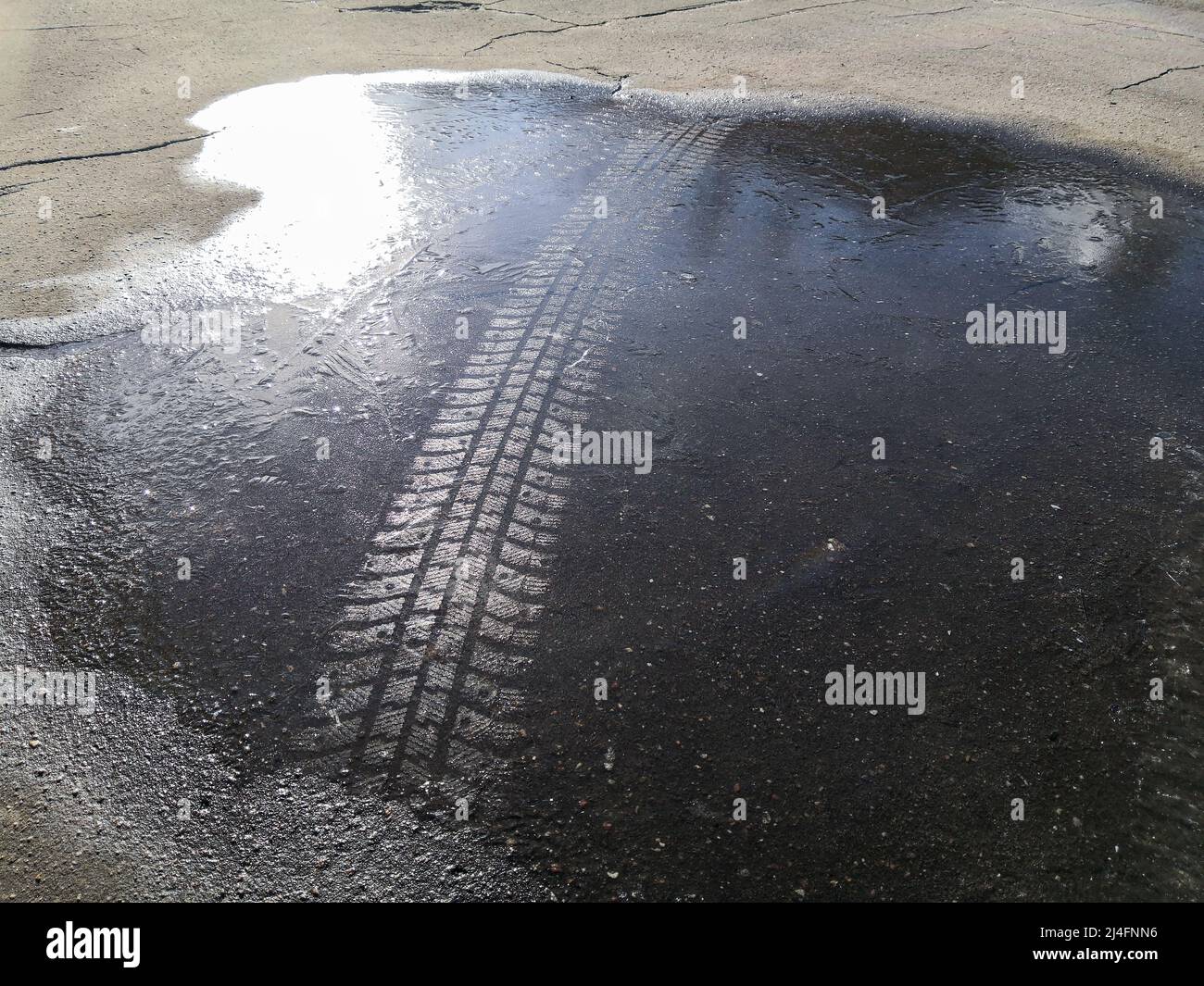 Track from a studded tire on the ice of a frozen puddle on cracked ...