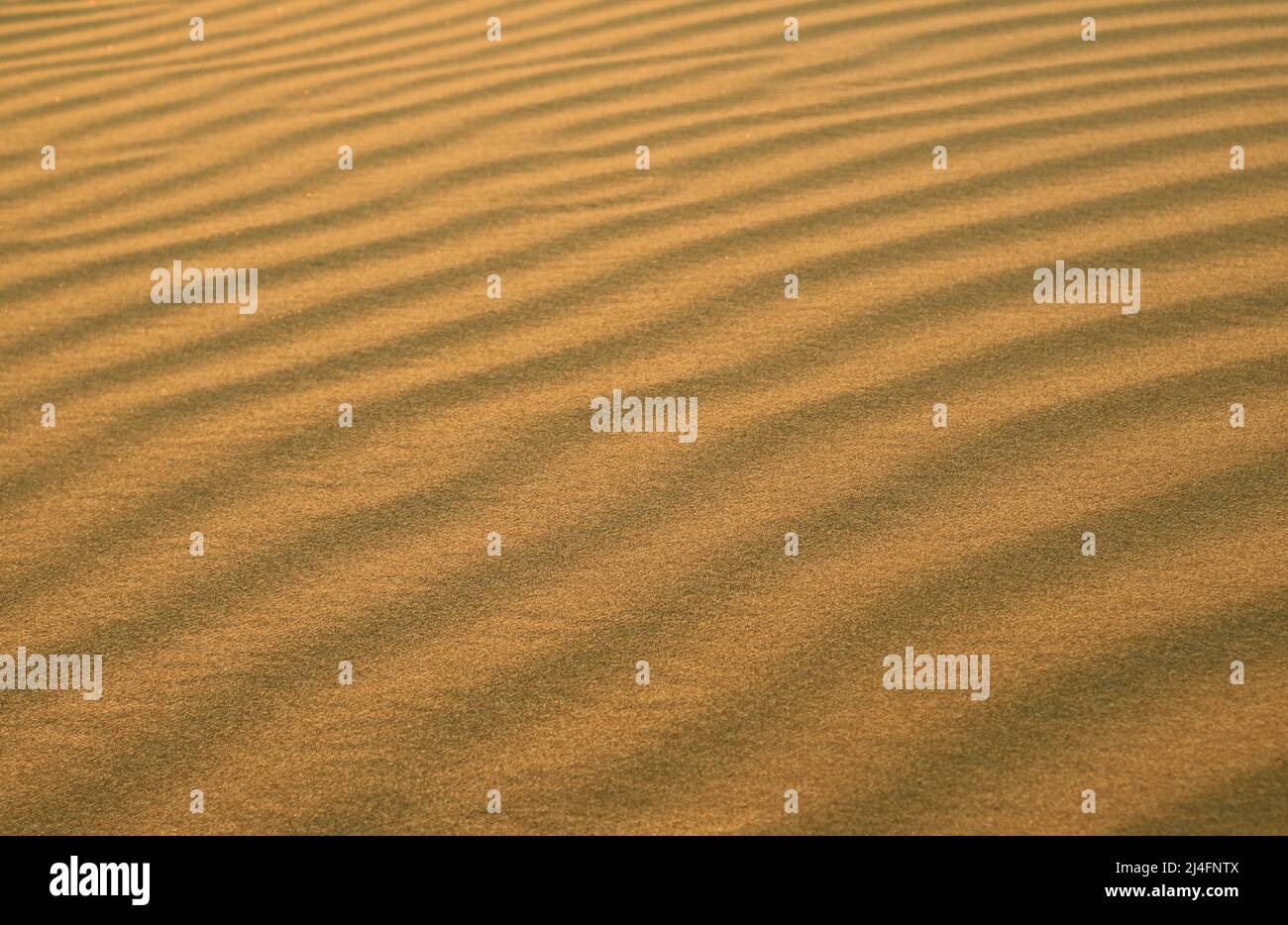 Gorgeous sand ripple pattern of Huacachina desert in Ica province of ...