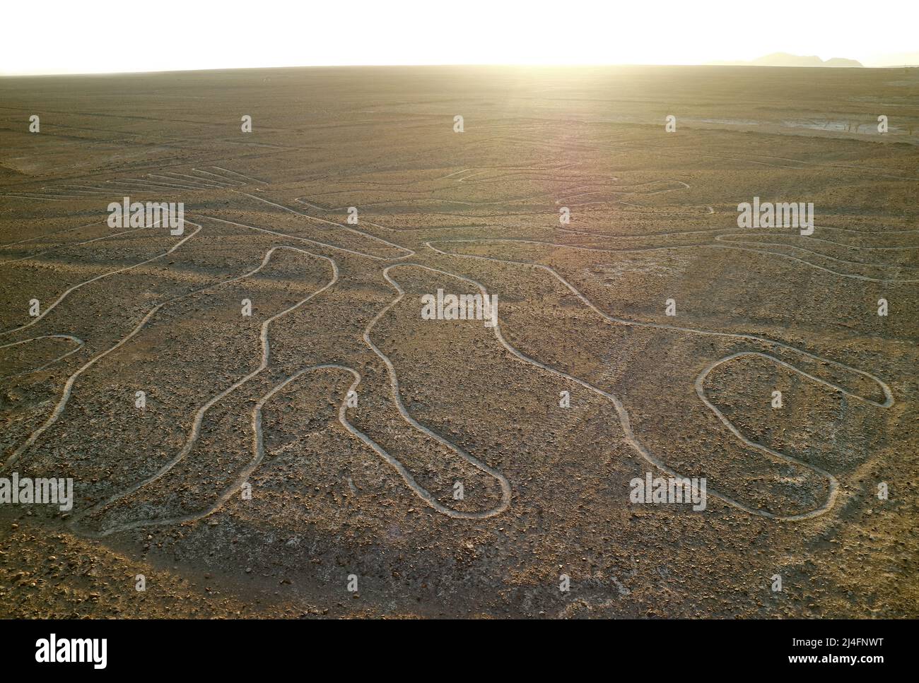 Amazing massive ancient geoglyphs of Nazca lines called Arbol (tree) in ...