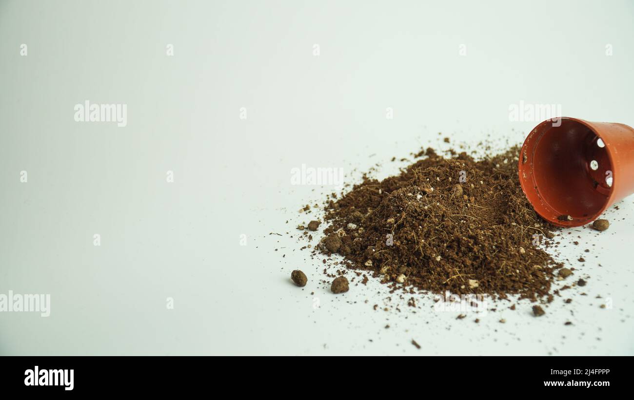 Empty flower pot and soil on a white background. Micro gardening idea ...