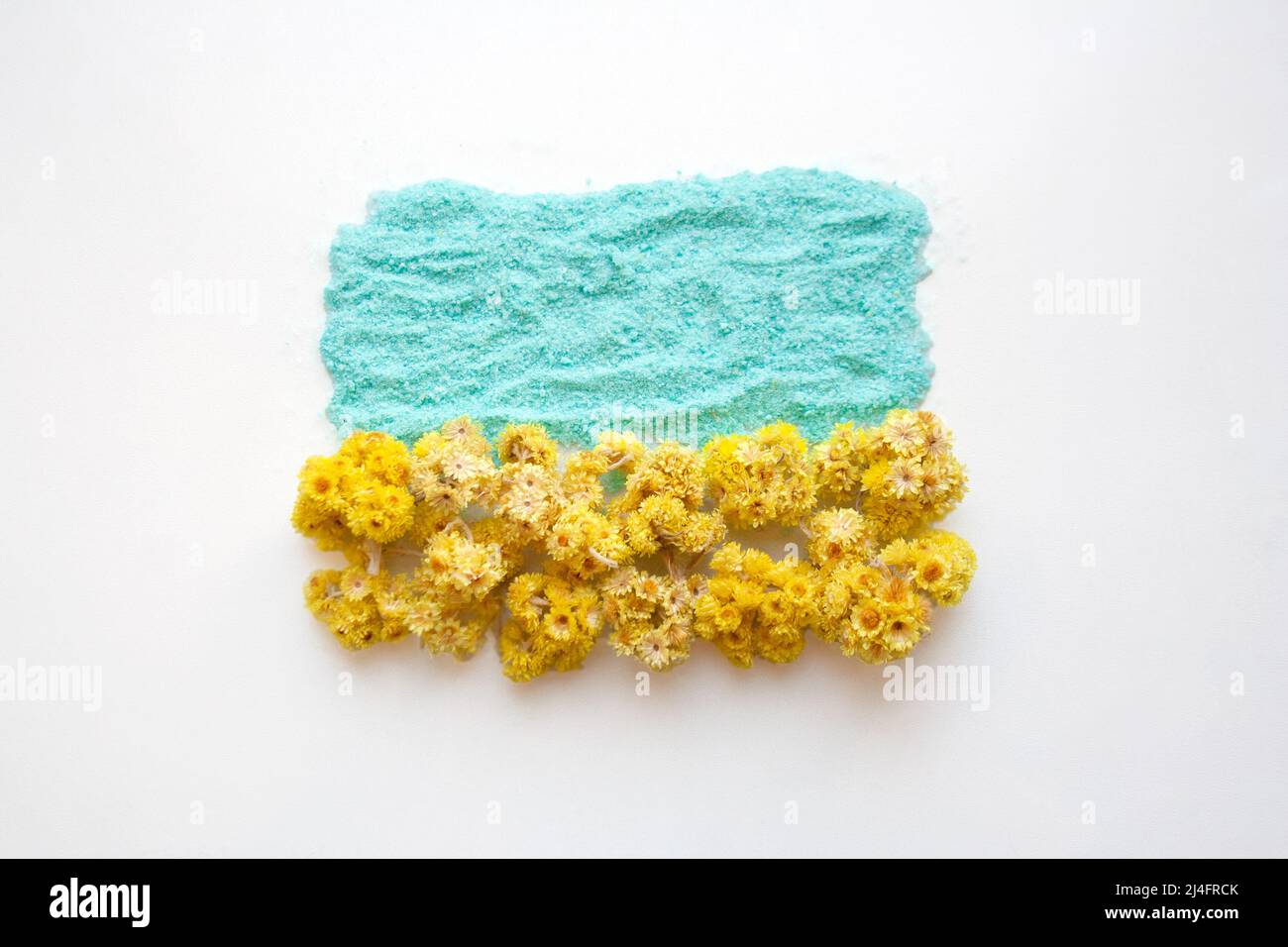 Ukrainian flag composition with yellow dried flowers and blue powder ...