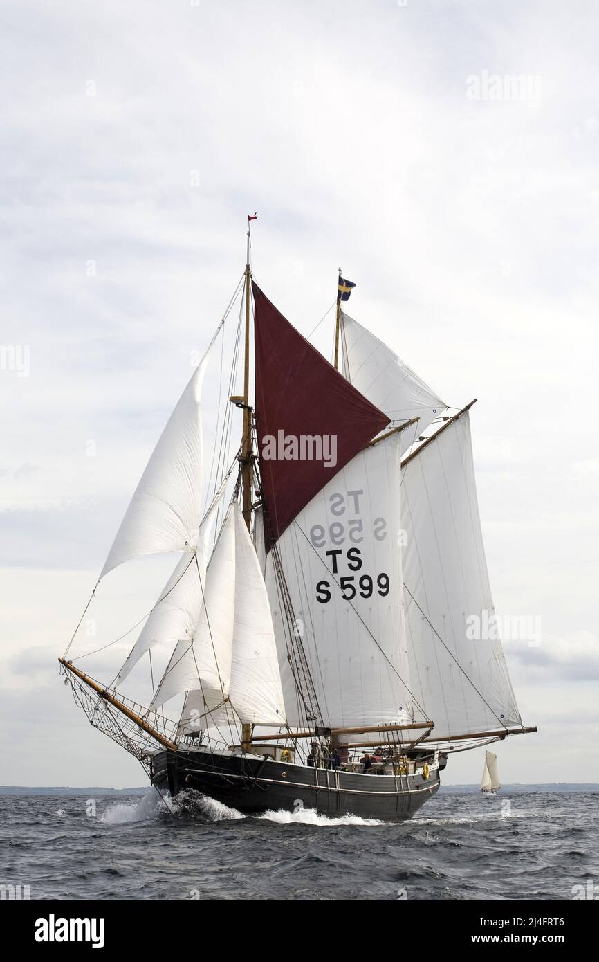 Swedish schooner Constantia at the start of the 2008 tall ships race ...