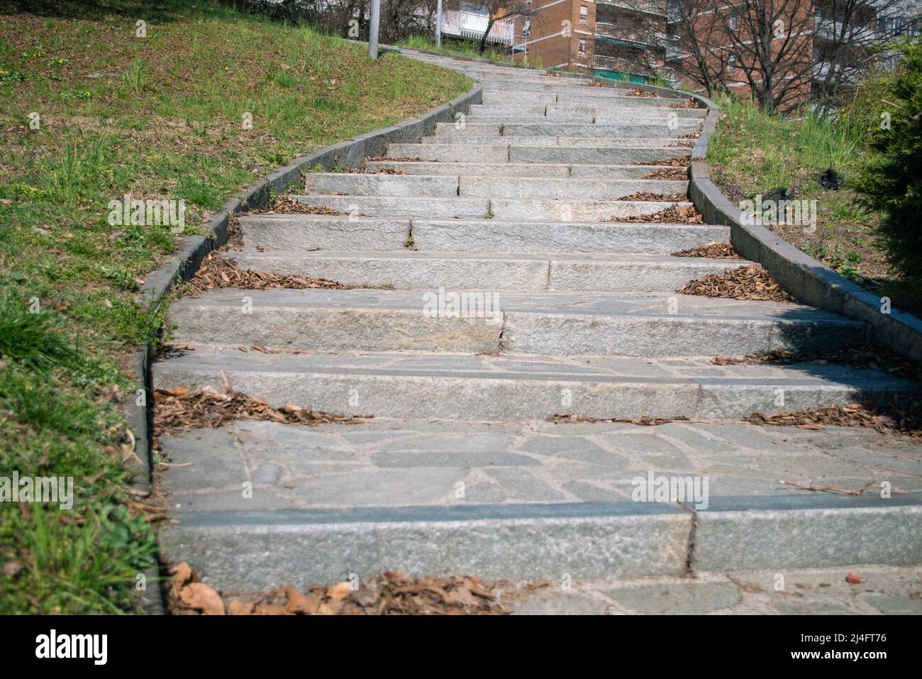 park: avenue with stone steps in the shape of a double curve. The ...