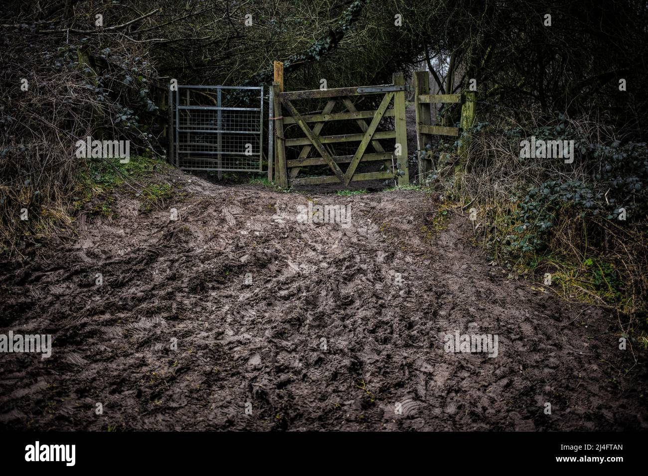 Muddy path and gate hi-res stock photography and images - Alamy