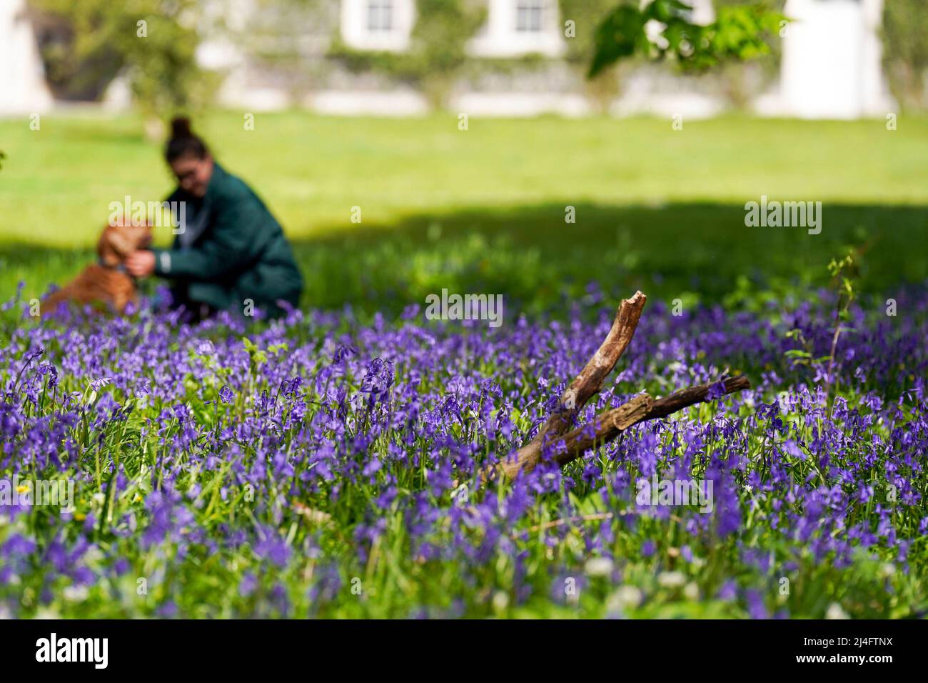 Kempster hi-res stock photography and images - Alamy