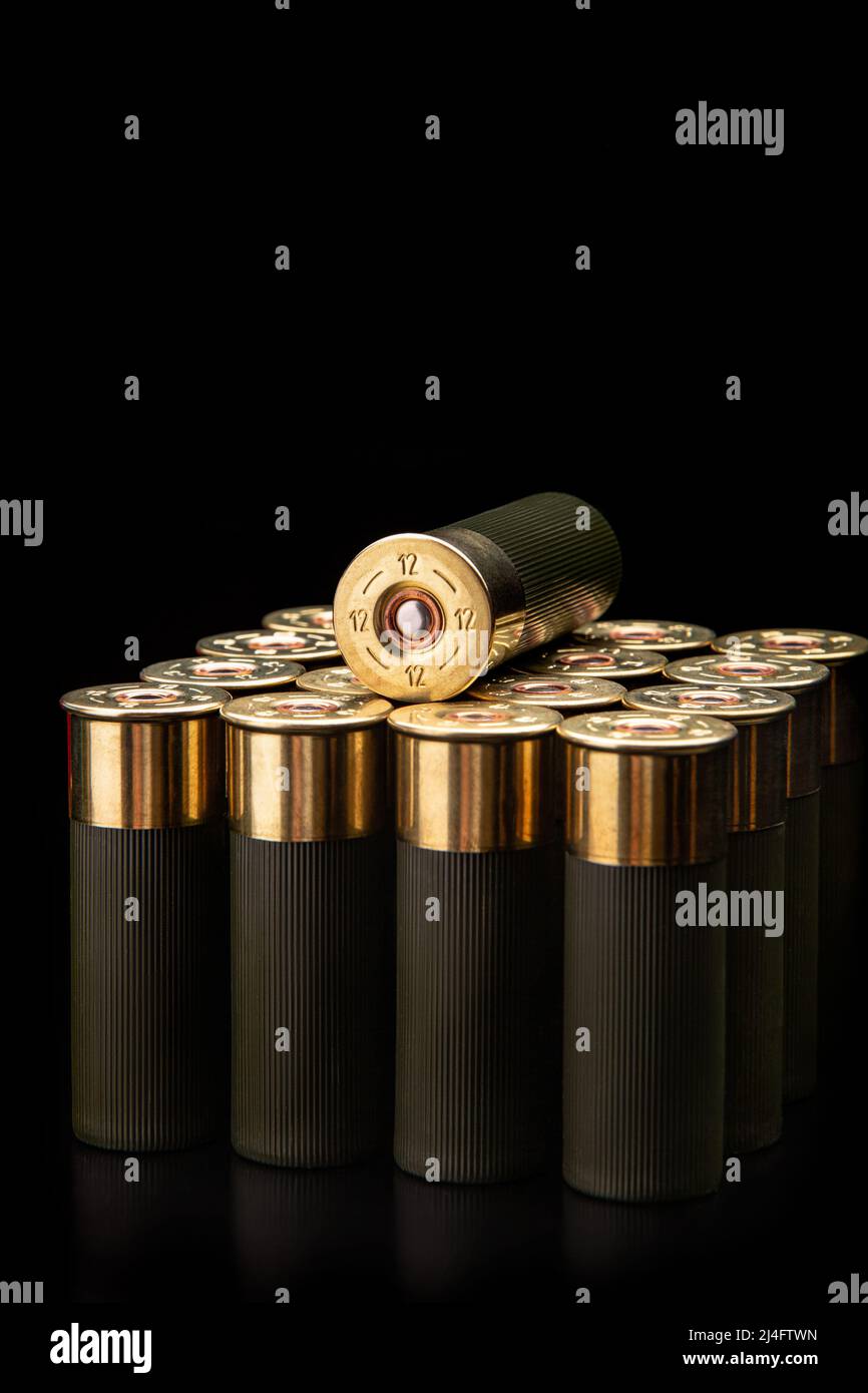 Shotgun shells on a black reflective surface. Ammunition for 12 gauge ...