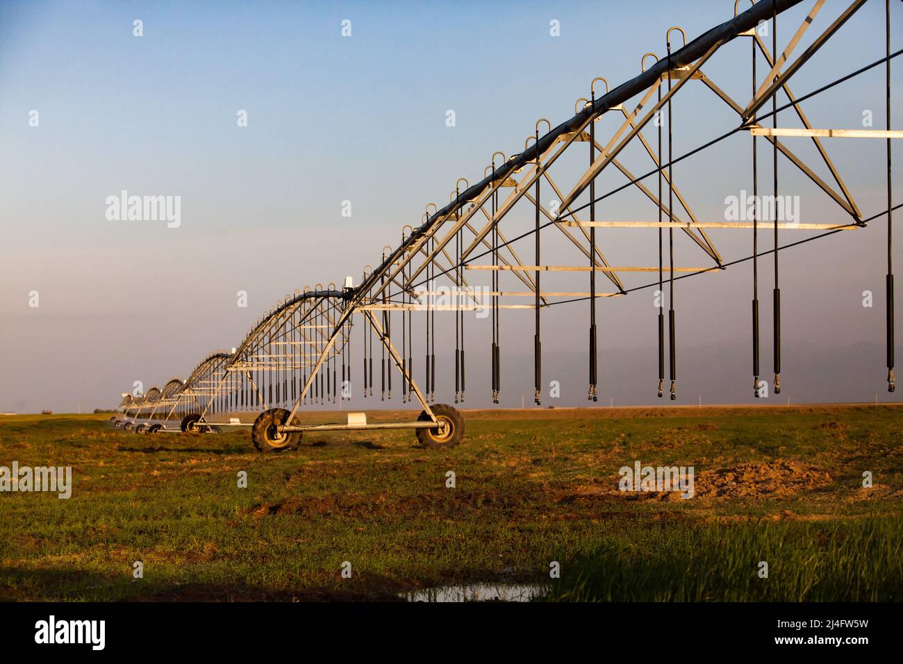 Drip irrigation system hi-res stock photography and images - Alamy