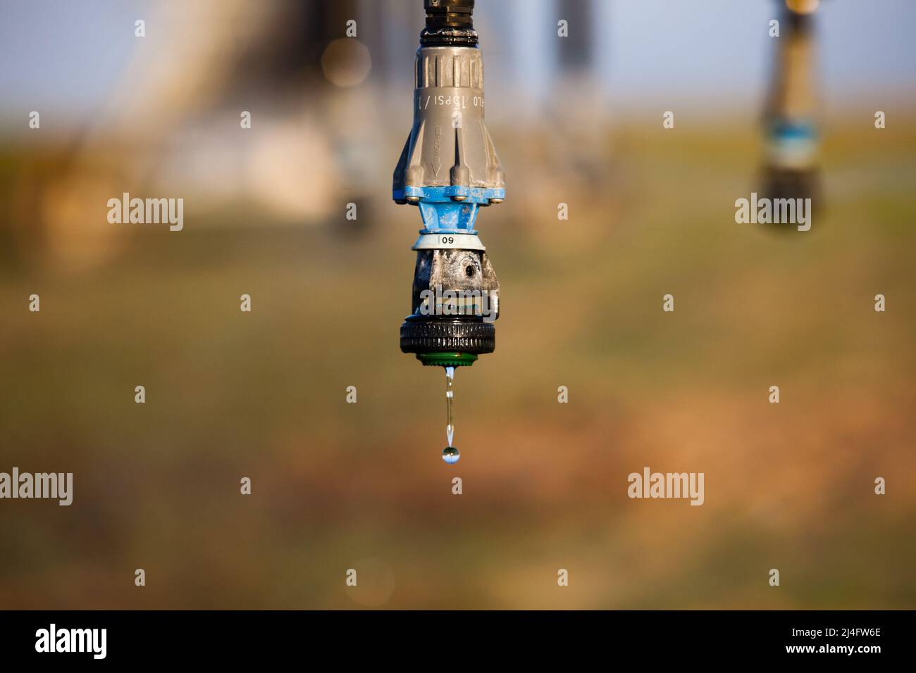 Modern drip irrigation system. Close-up photo of dispenser and drop of ...