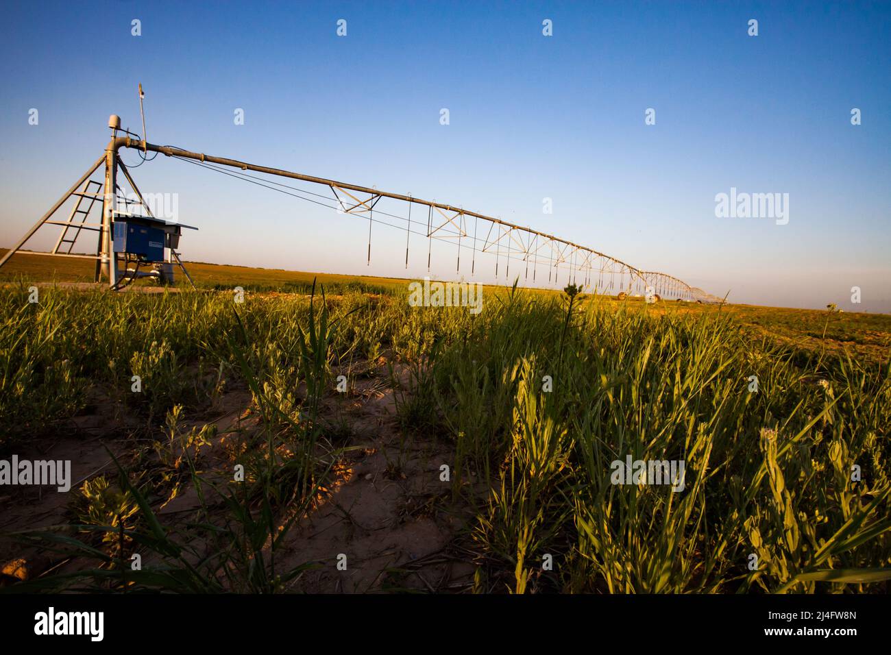 Modern drip irrigation system on grass field. Blue sky Stock Photo - Alamy