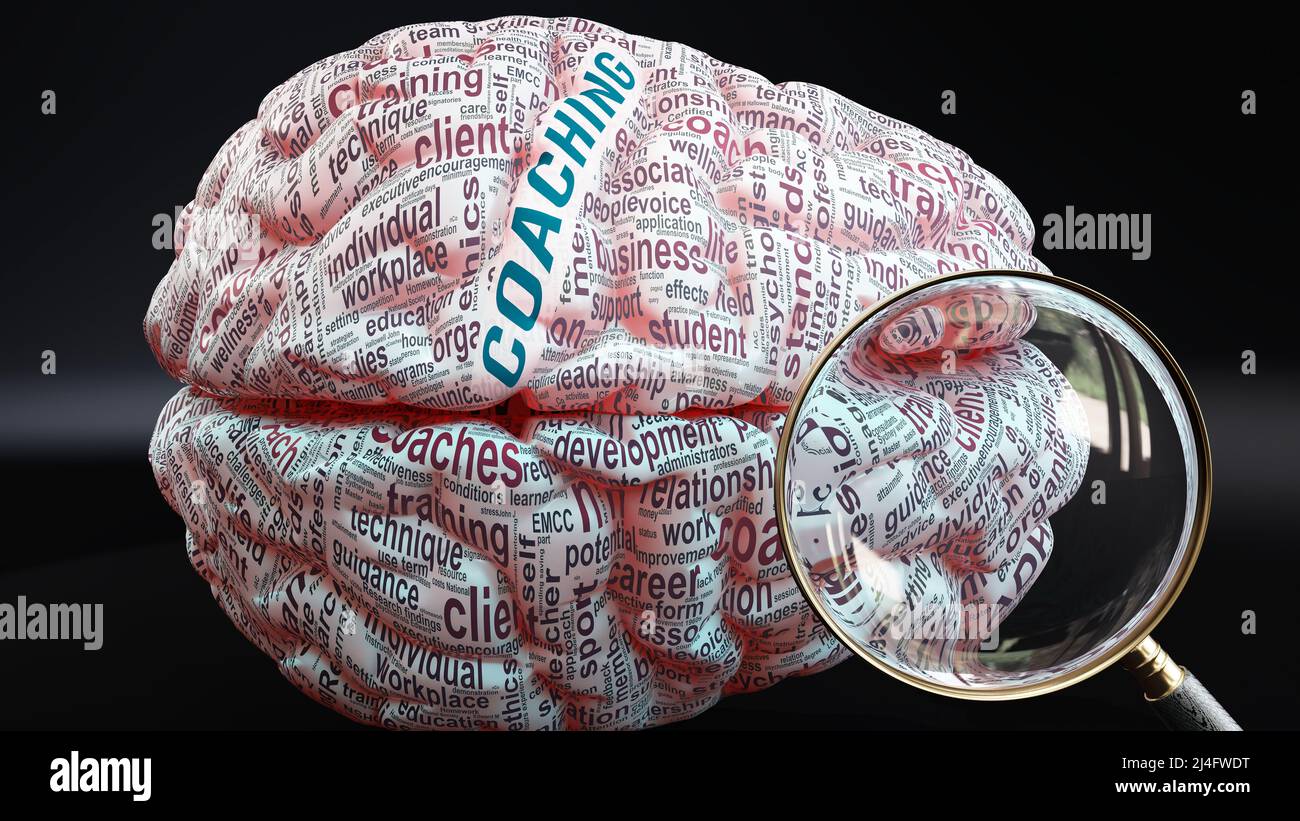 Coaching in human brain, a concept showing hundreds of crucial words ...