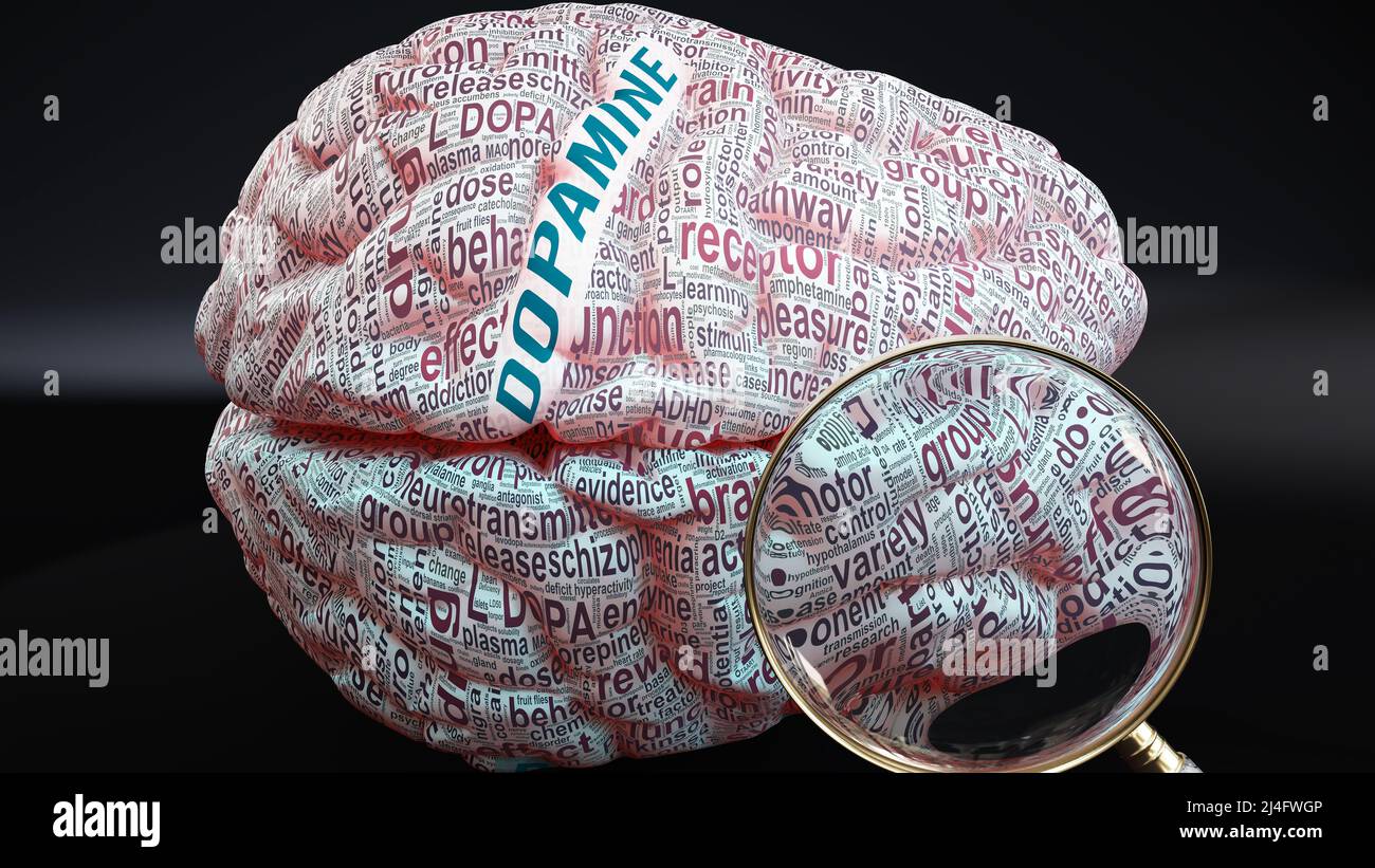 Dopamine in human brain, a concept showing hundreds of crucial words ...