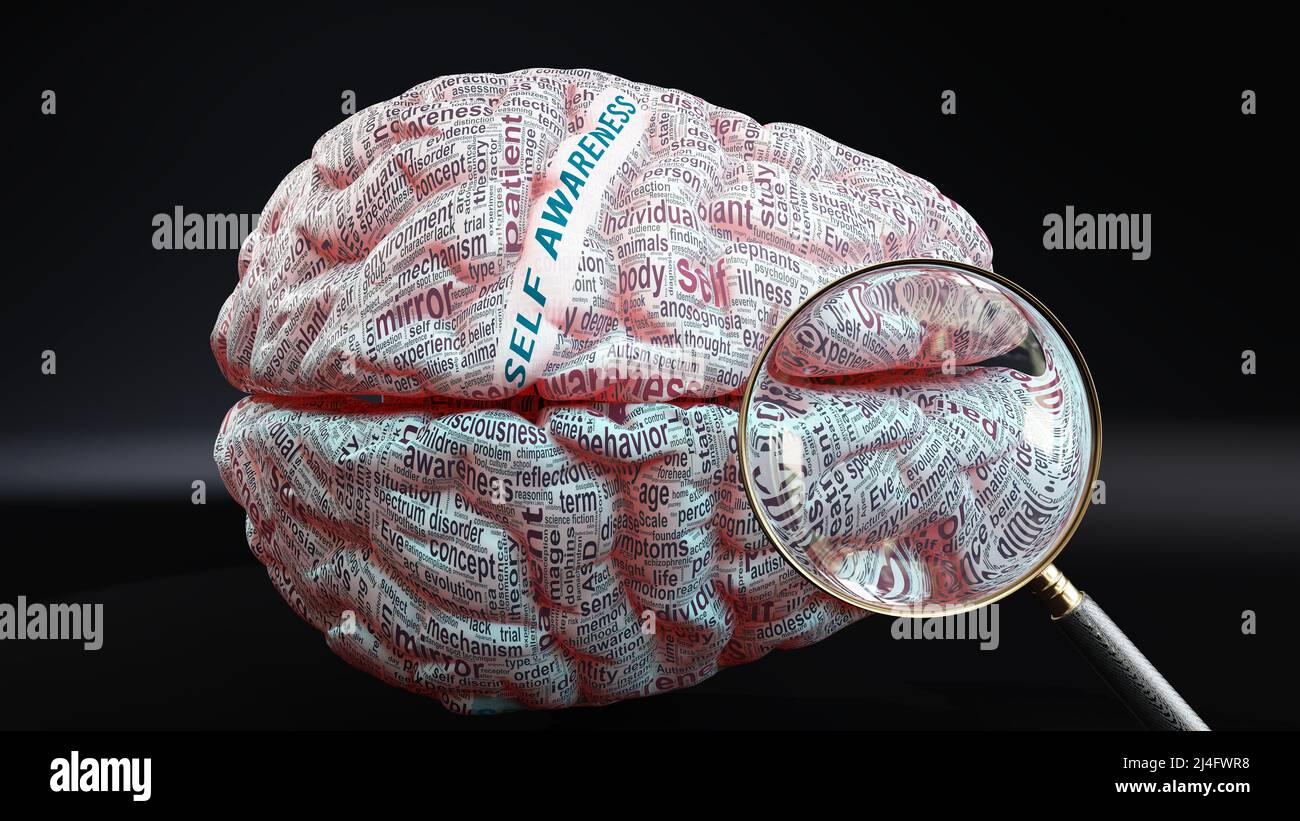 Self awareness in human brain, a concept showing hundreds of crucial ...