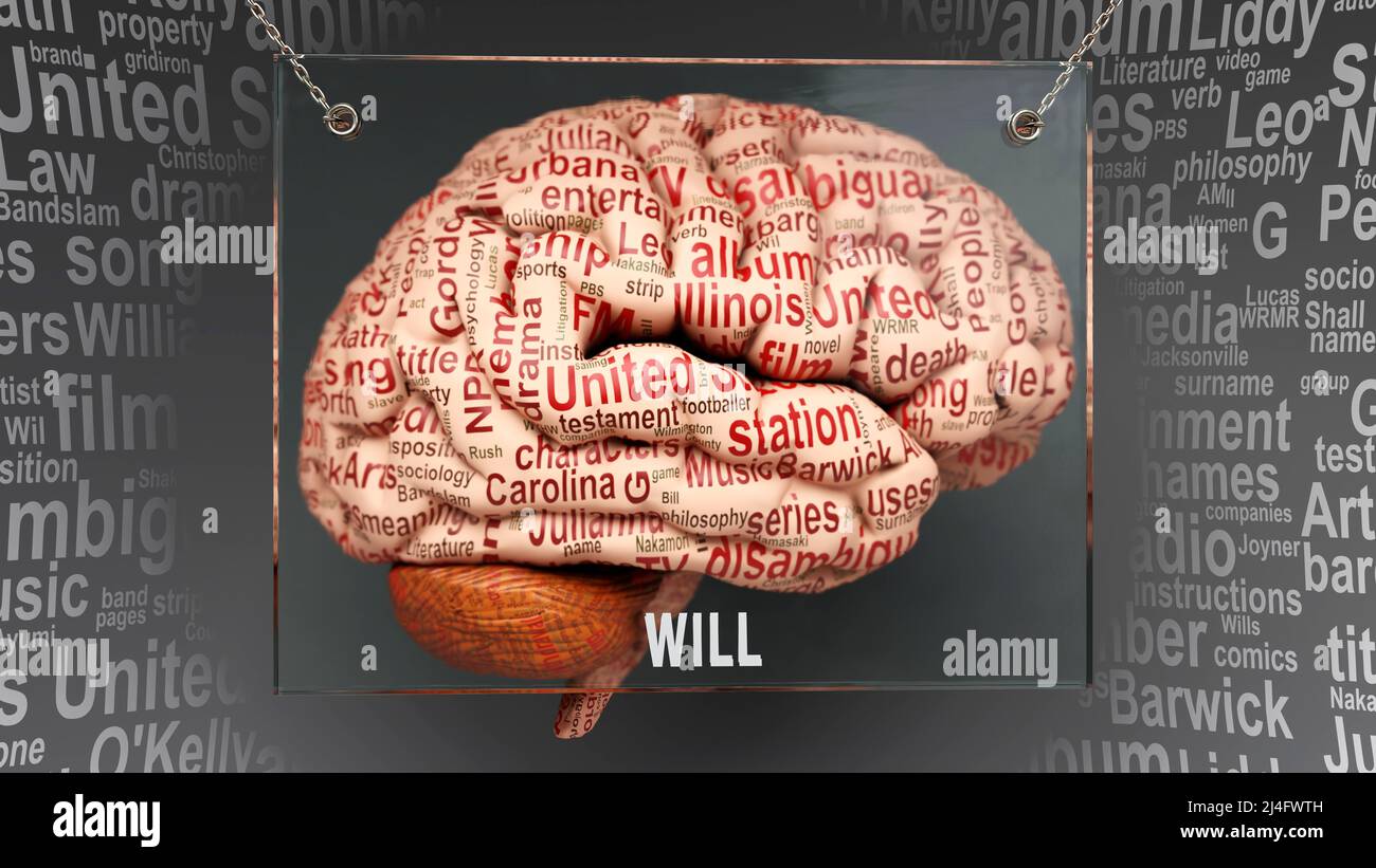 Will in human brain hi-res stock photography and images - Alamy