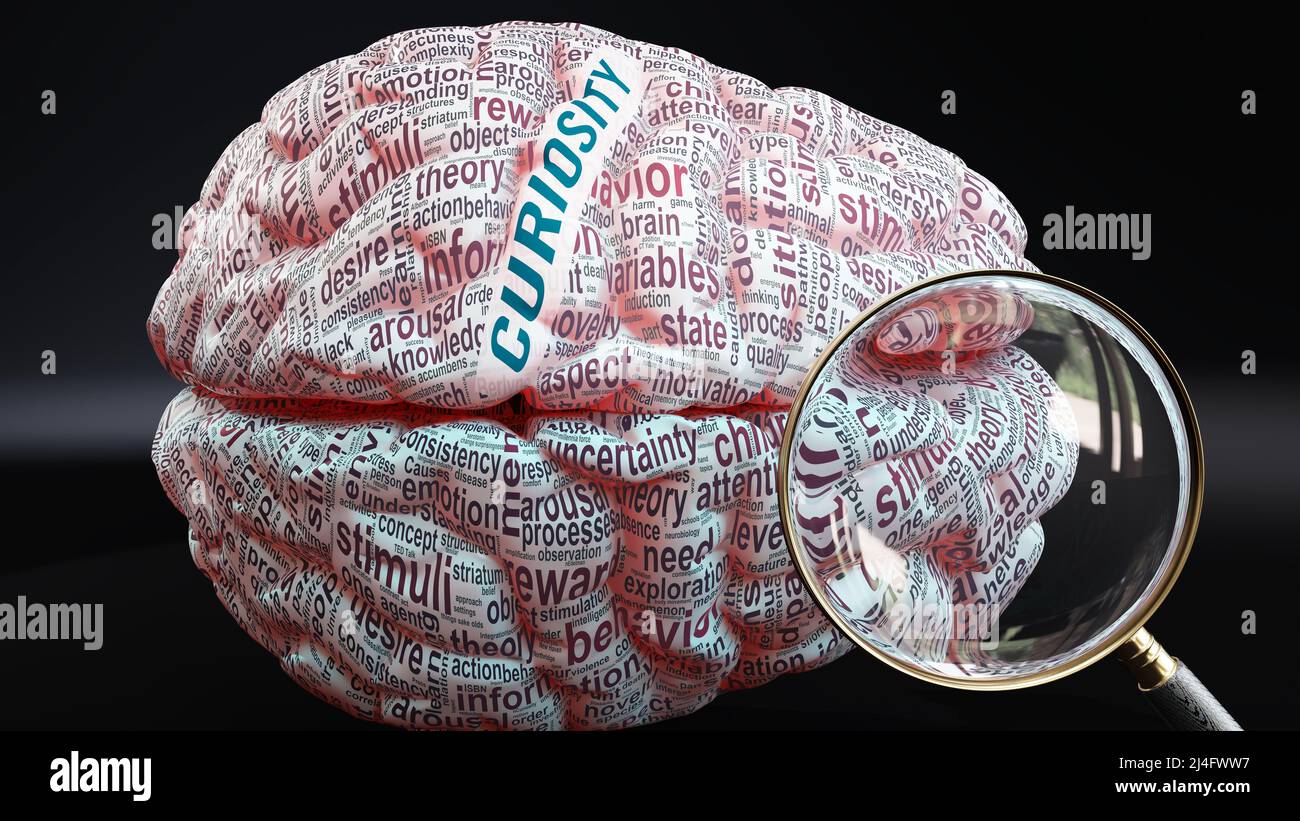 Curiosity in human brain, a concept showing hundreds of crucial words ...