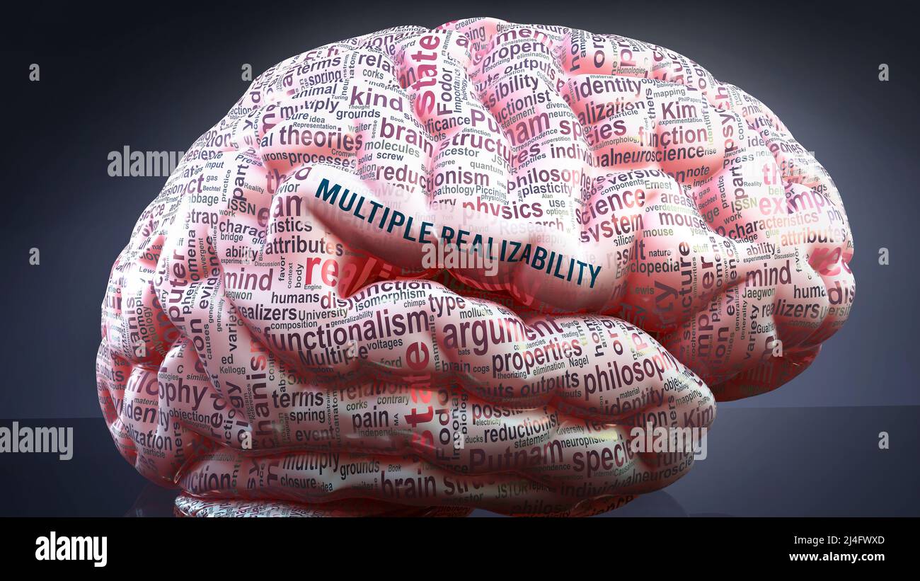 Multiple realizability in human brain, hundreds of terms related to ...