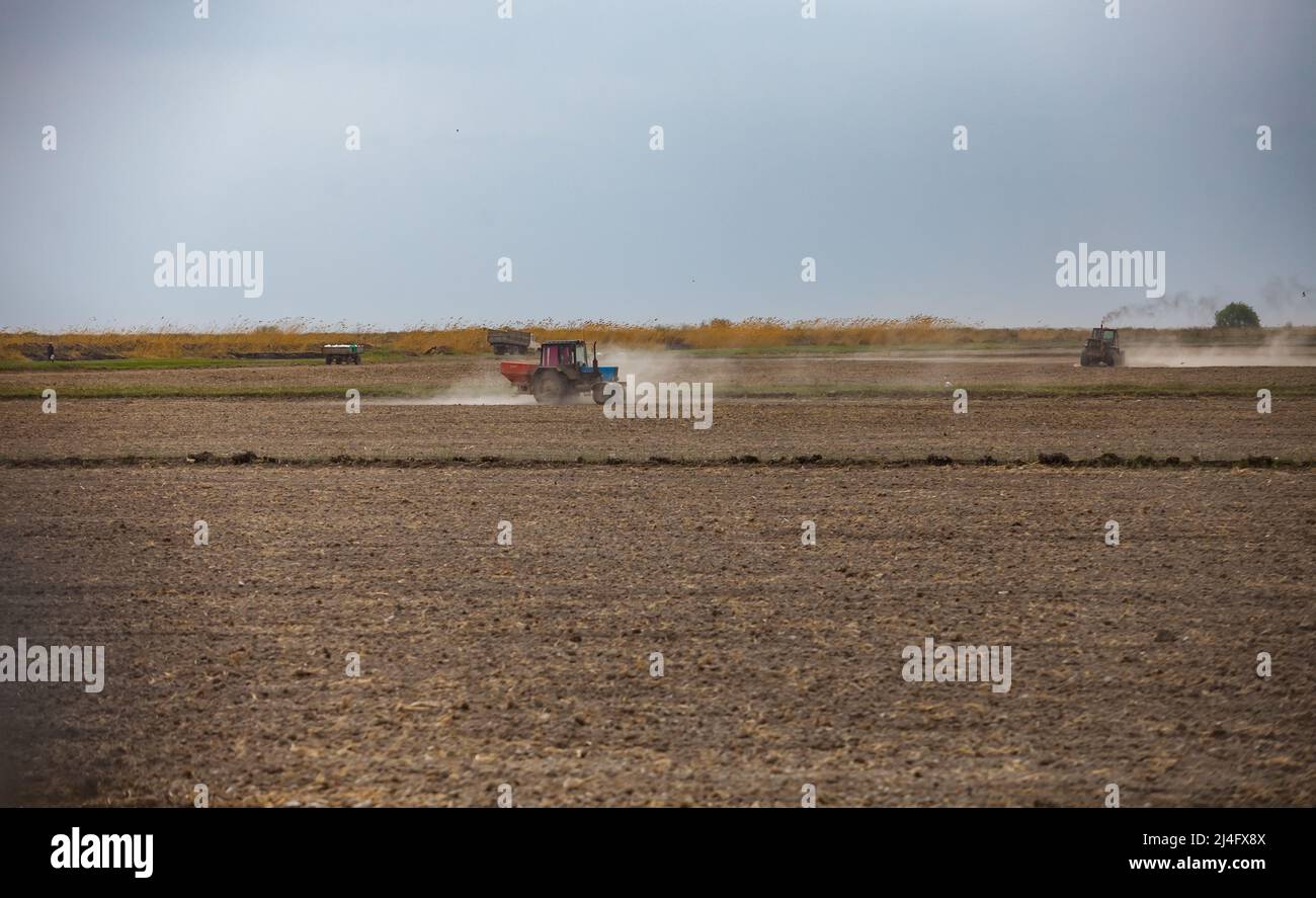 Tractors cultivating field ground for rice seeding. Spring sowing ...