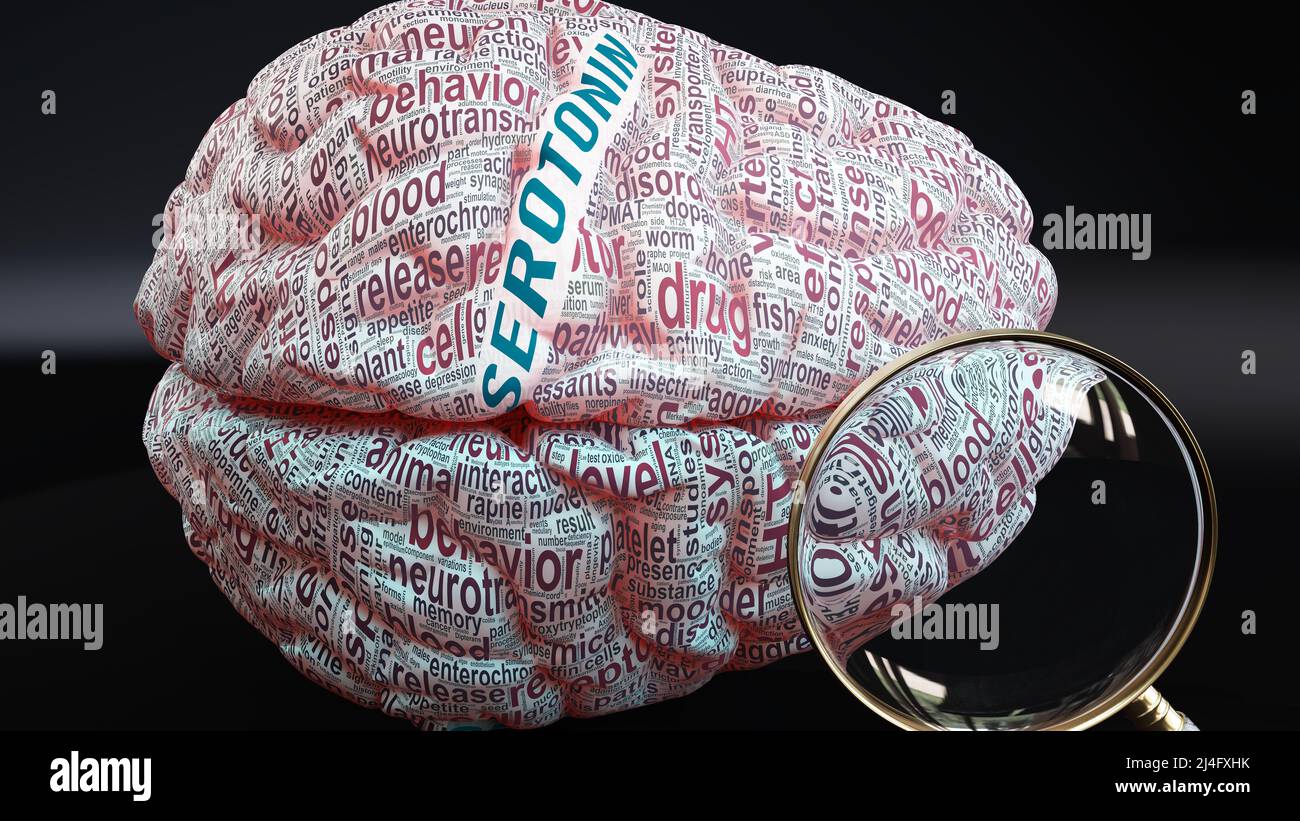 Serotonin in human brain hi-res stock photography and images - Alamy