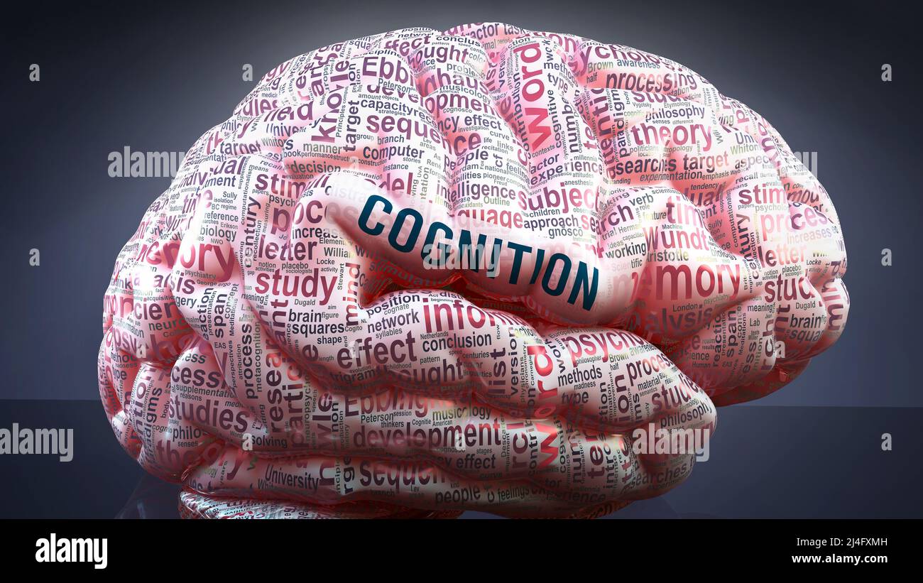 Cognition in human brain, hundreds of crucial terms related to ...