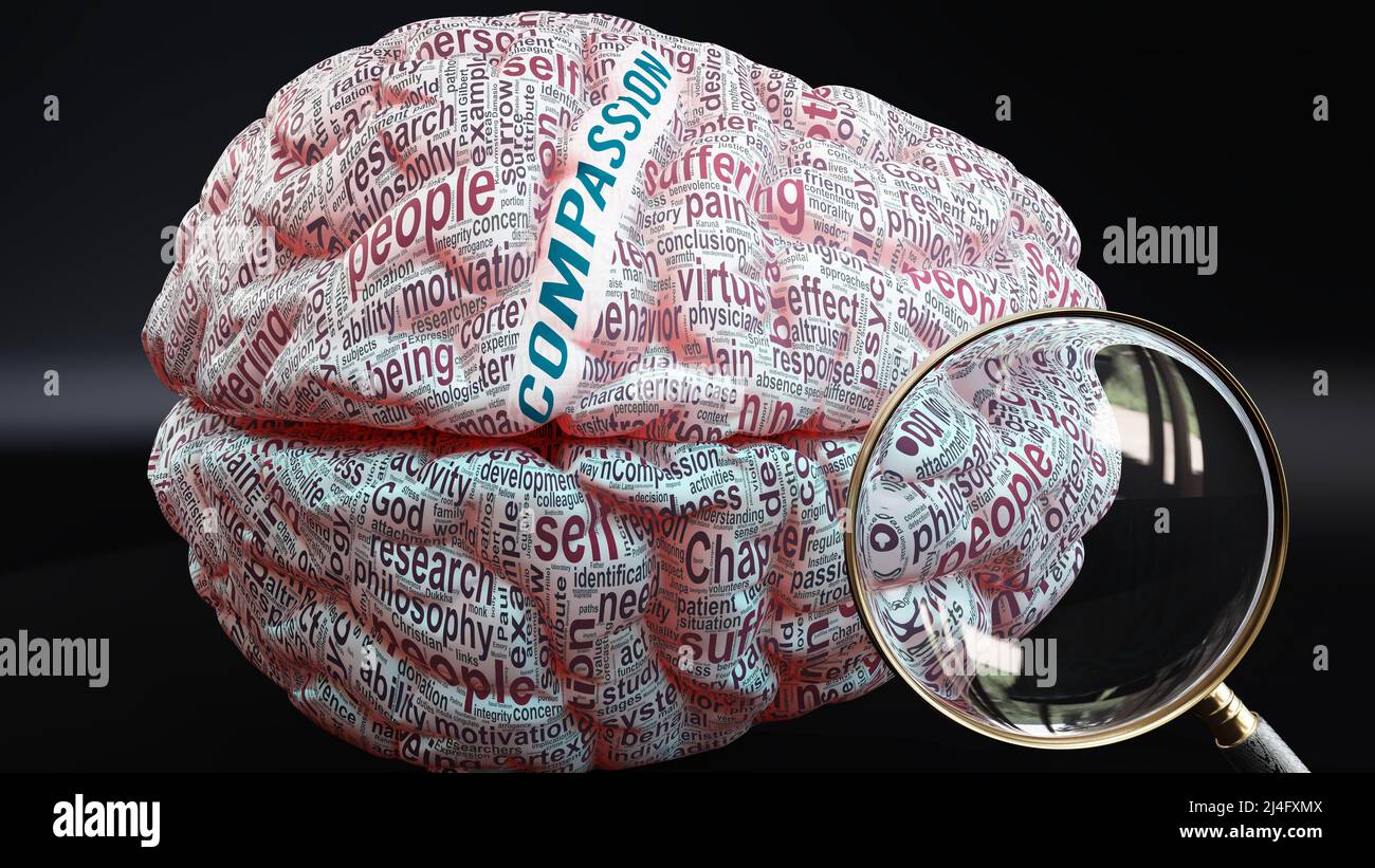 Compassion in human brain hi-res stock photography and images - Alamy
