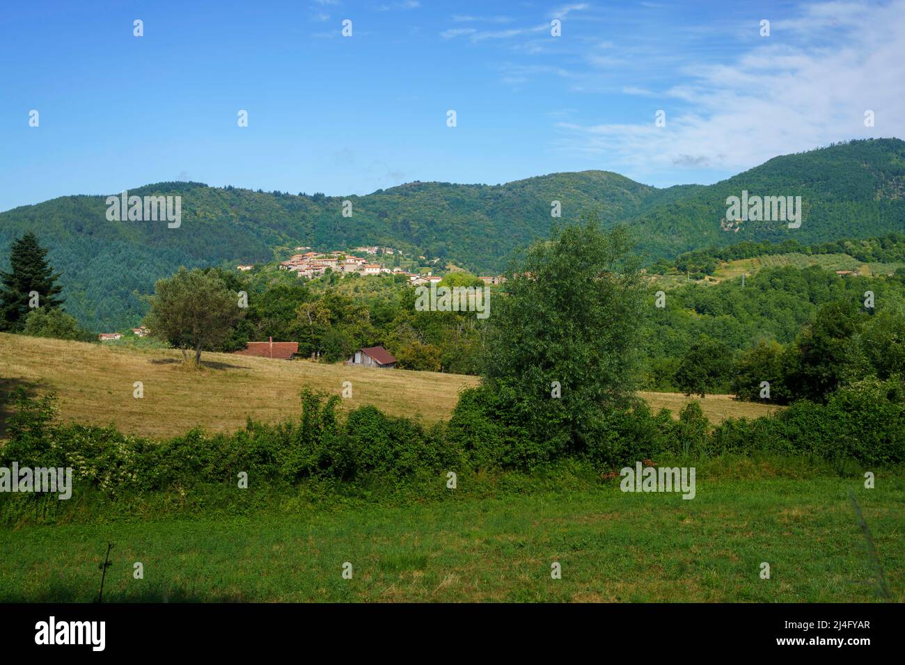 Summer andscape along the road to Foce Carpinelli, Tuscany, Italy Stock ...